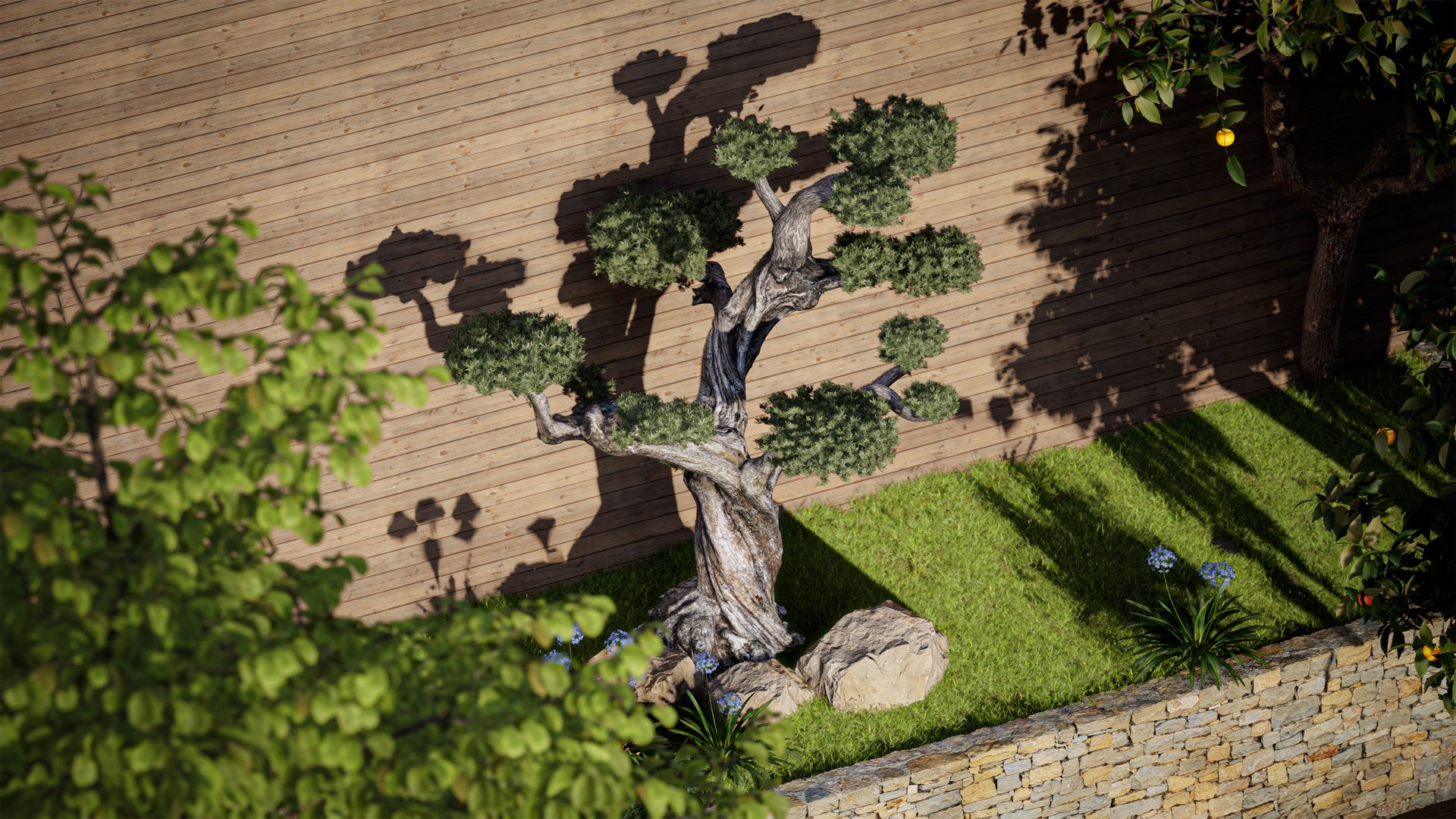 3D Mediterranean Olive Tree - TurboSquid 2194154