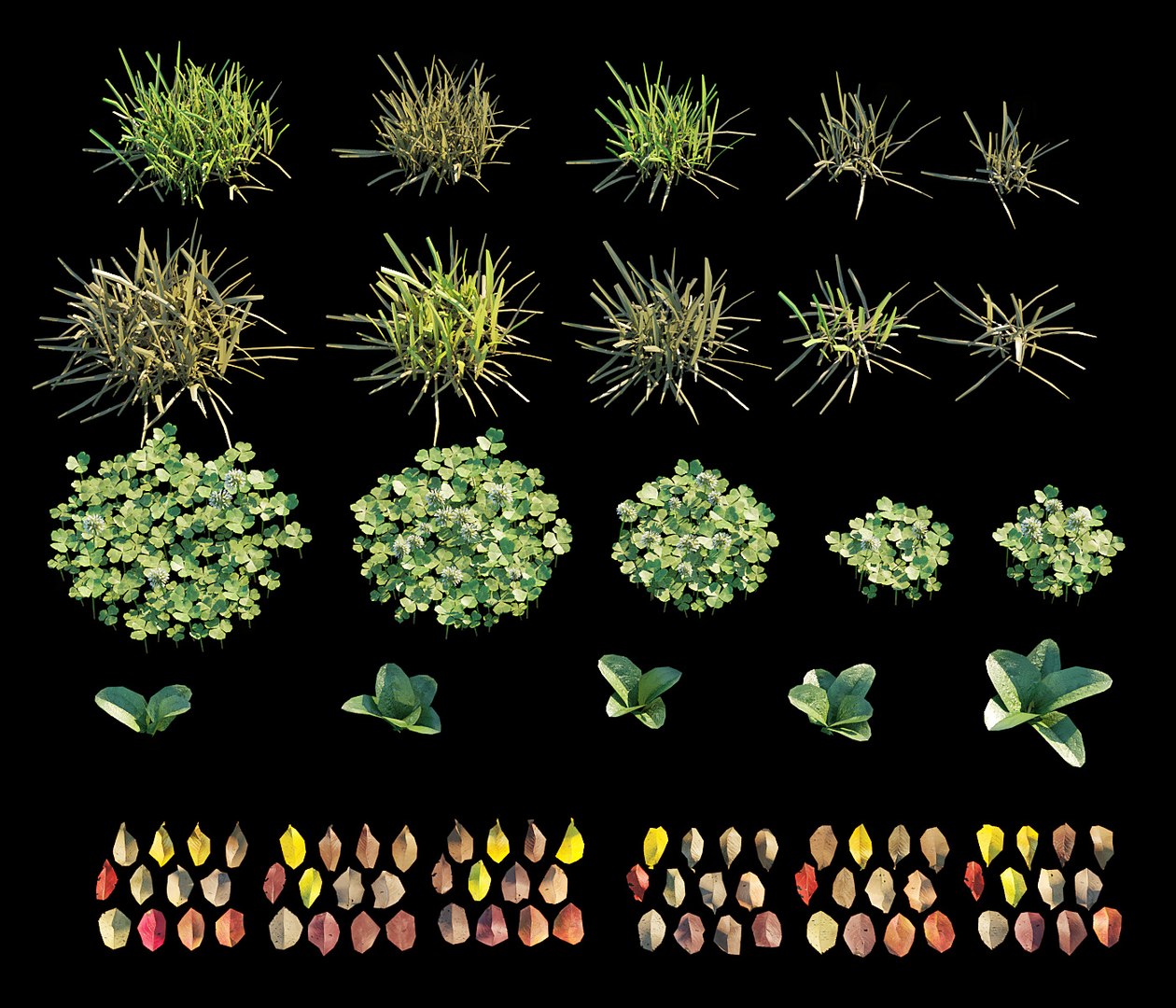 Set Grass Model - TurboSquid 1468848