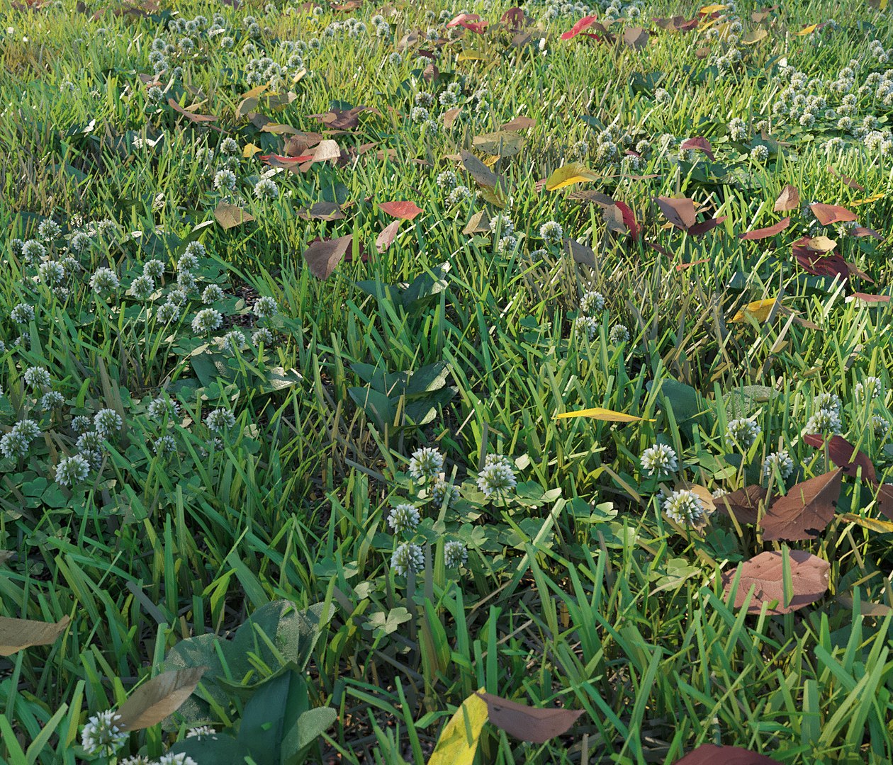 Set Grass Model - TurboSquid 1468848