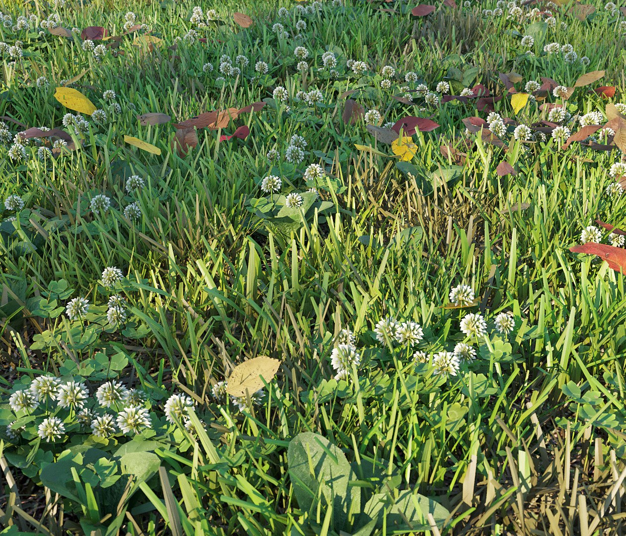 Set Grass Model - TurboSquid 1468848