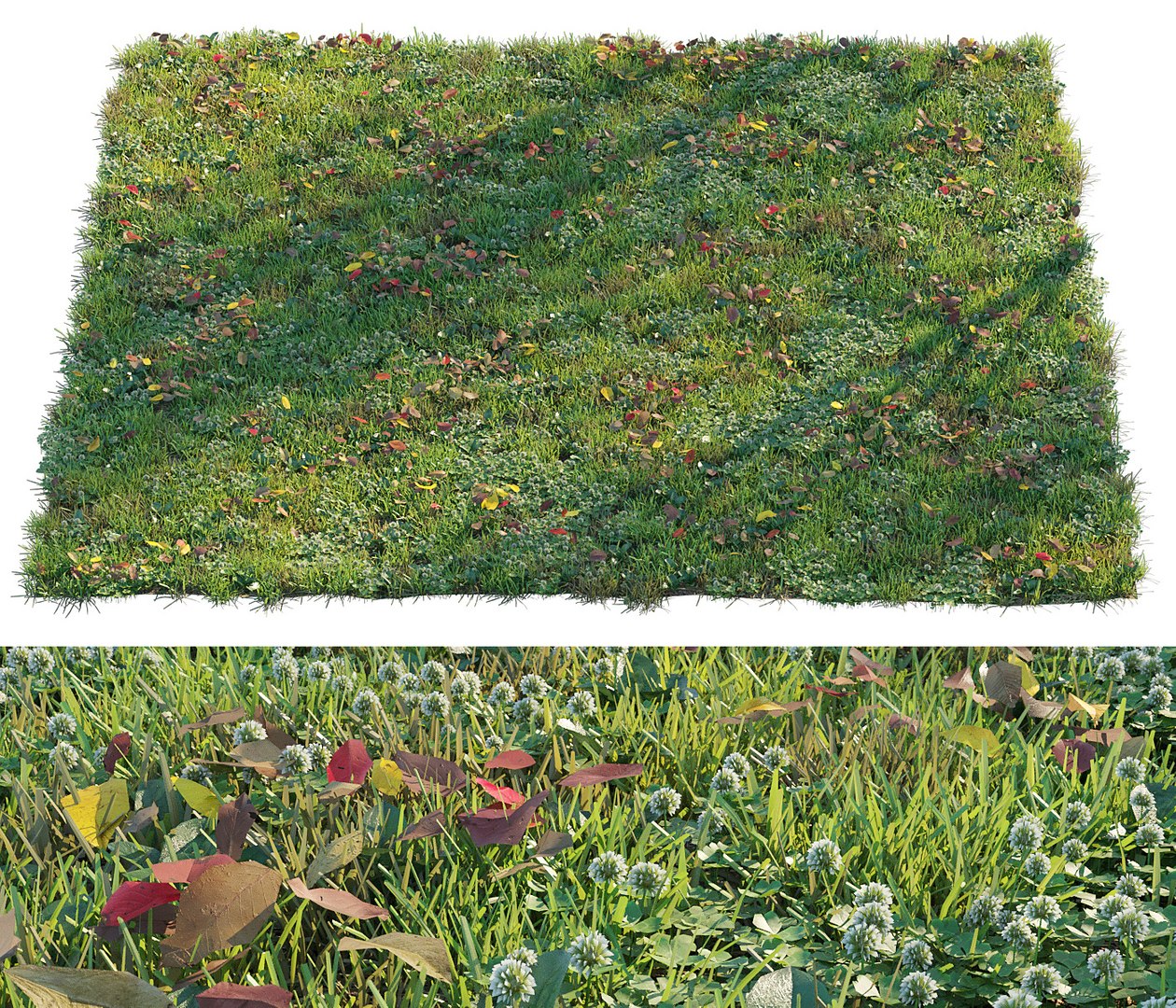 Set Grass Model - TurboSquid 1468848