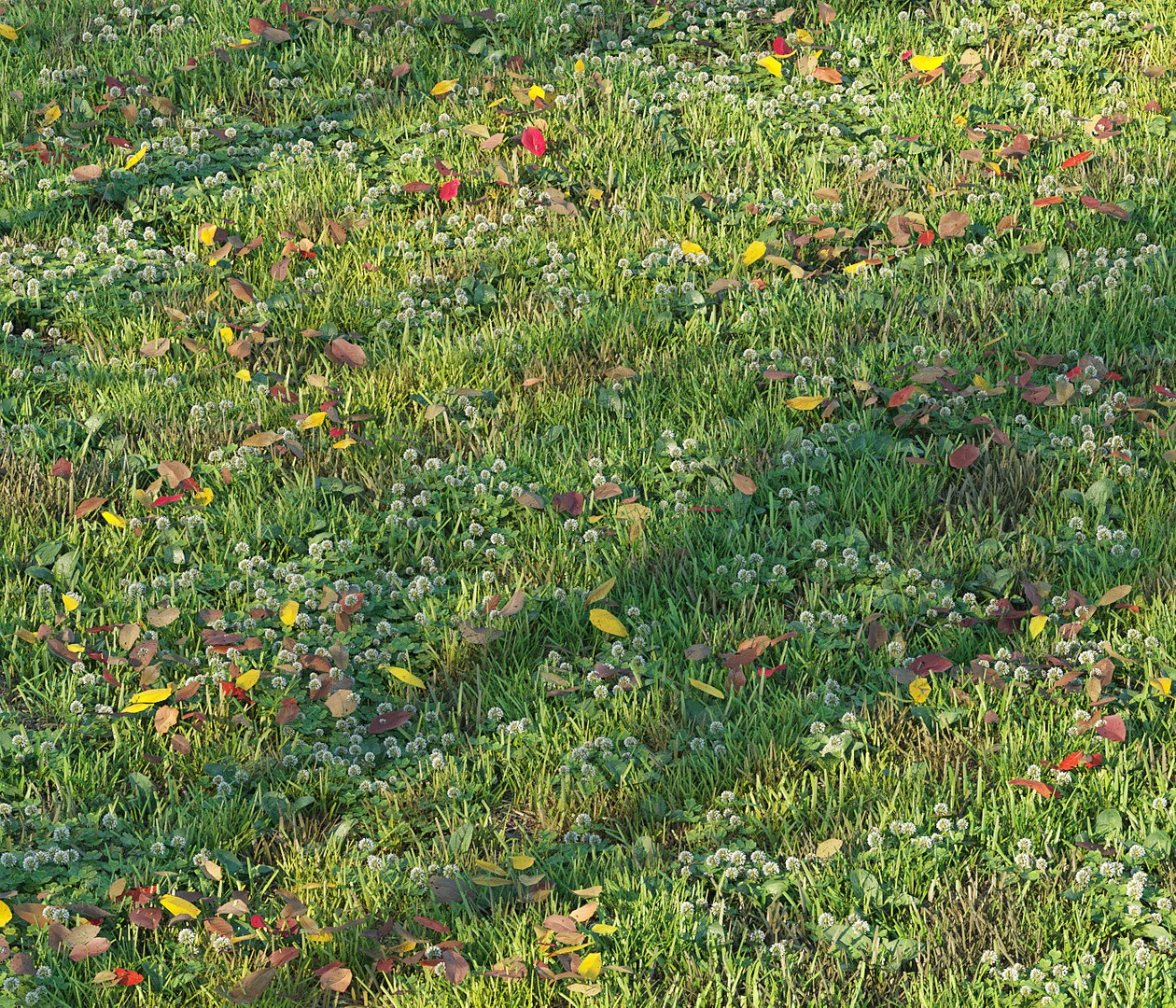 Set Grass Model - TurboSquid 1468848