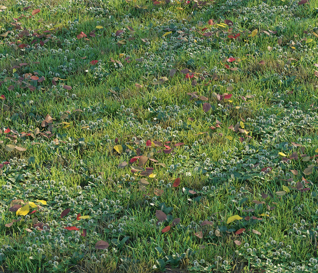 Set Grass Model - TurboSquid 1468848