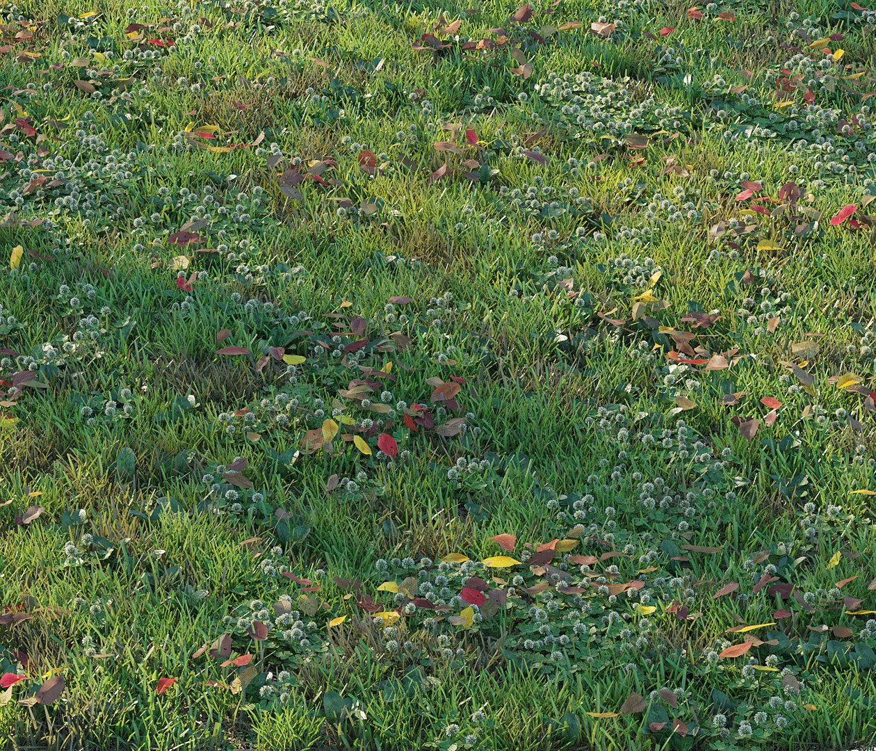 Set Grass Model - TurboSquid 1468848