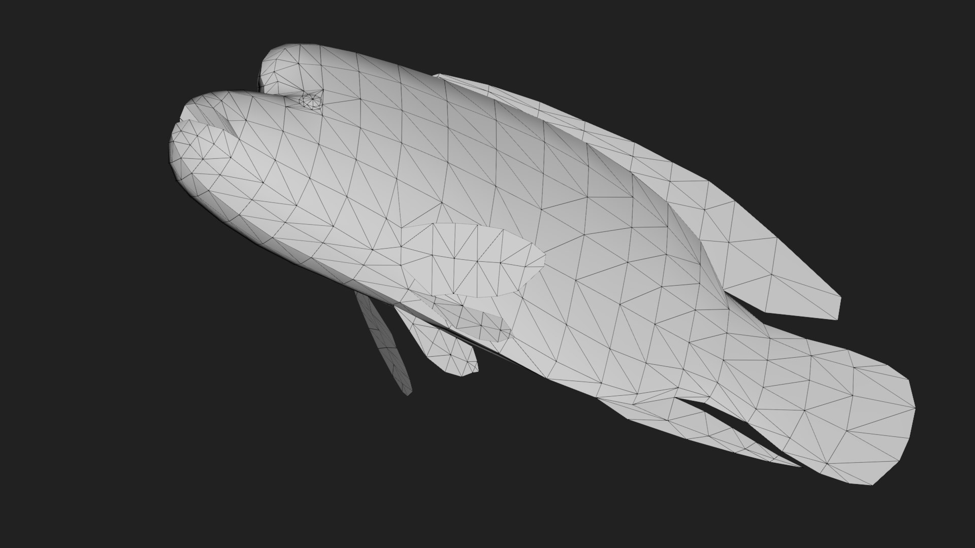 Wrasse 3D - TurboSquid 2122905