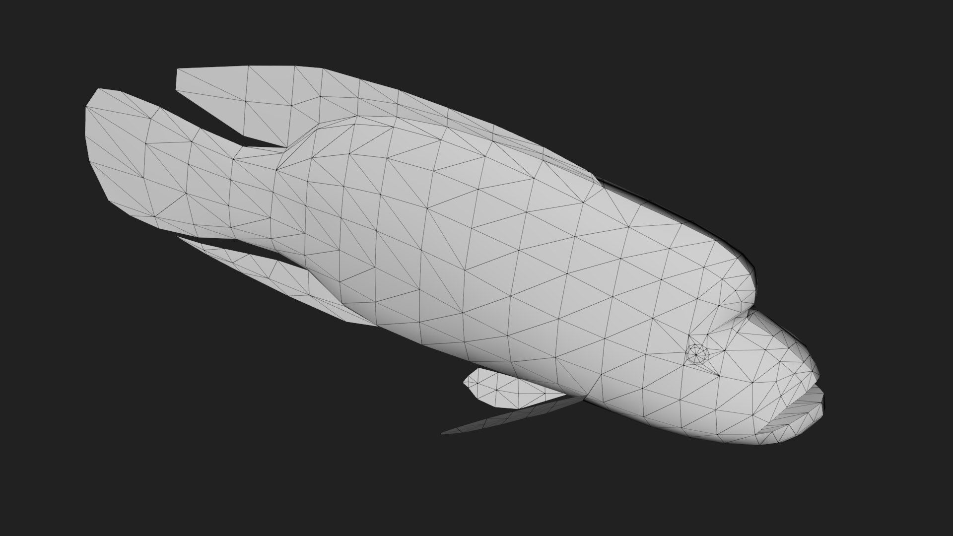 Wrasse 3D - TurboSquid 2122905