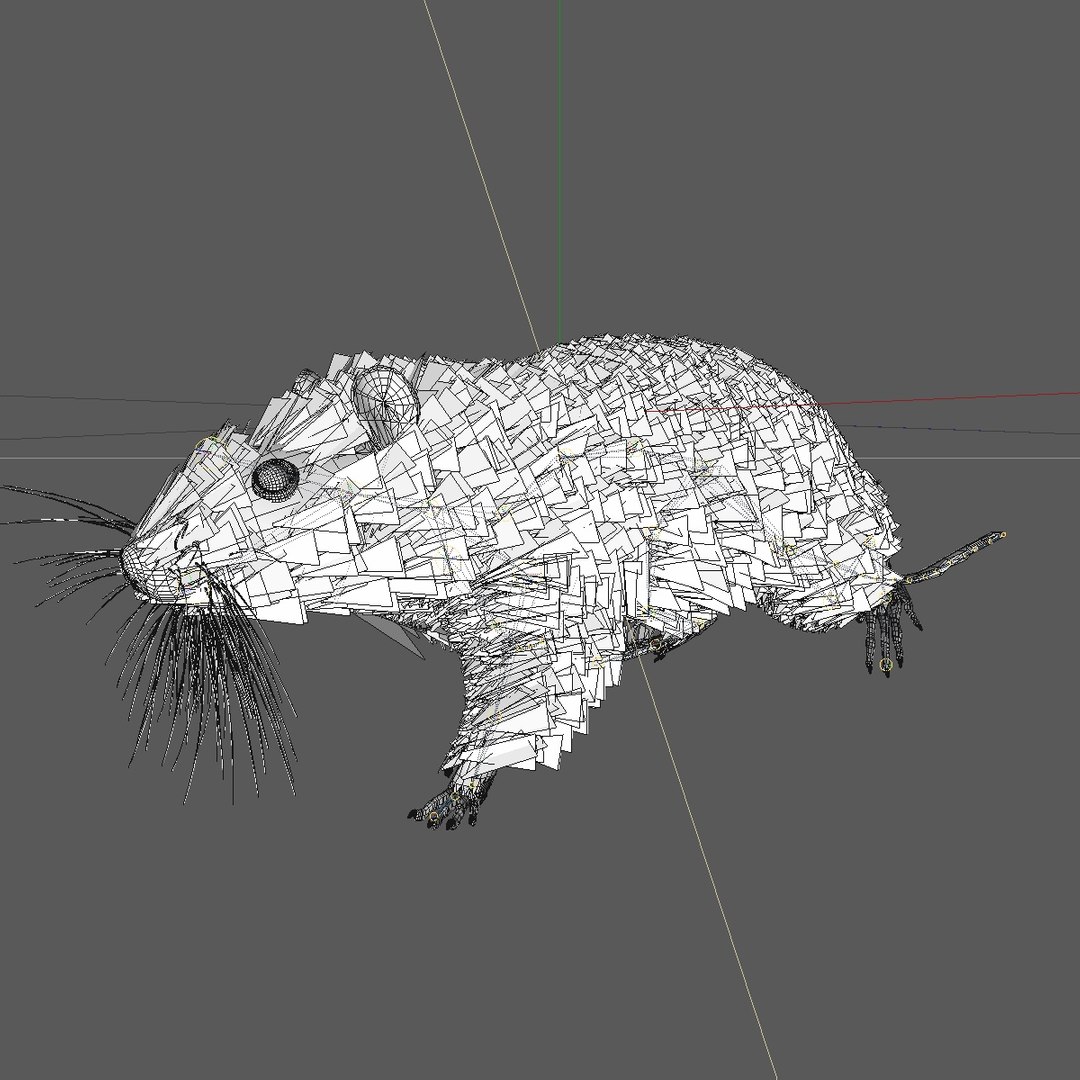 3d Brown Mouse Rat Walking Model