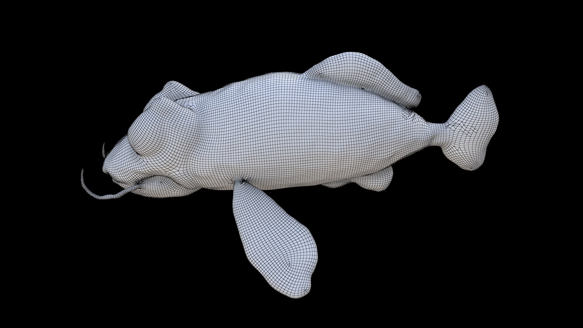 3D Cuttlefish - TurboSquid 2338813