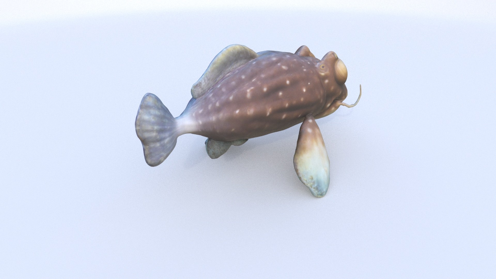3D Cuttlefish - TurboSquid 2338813