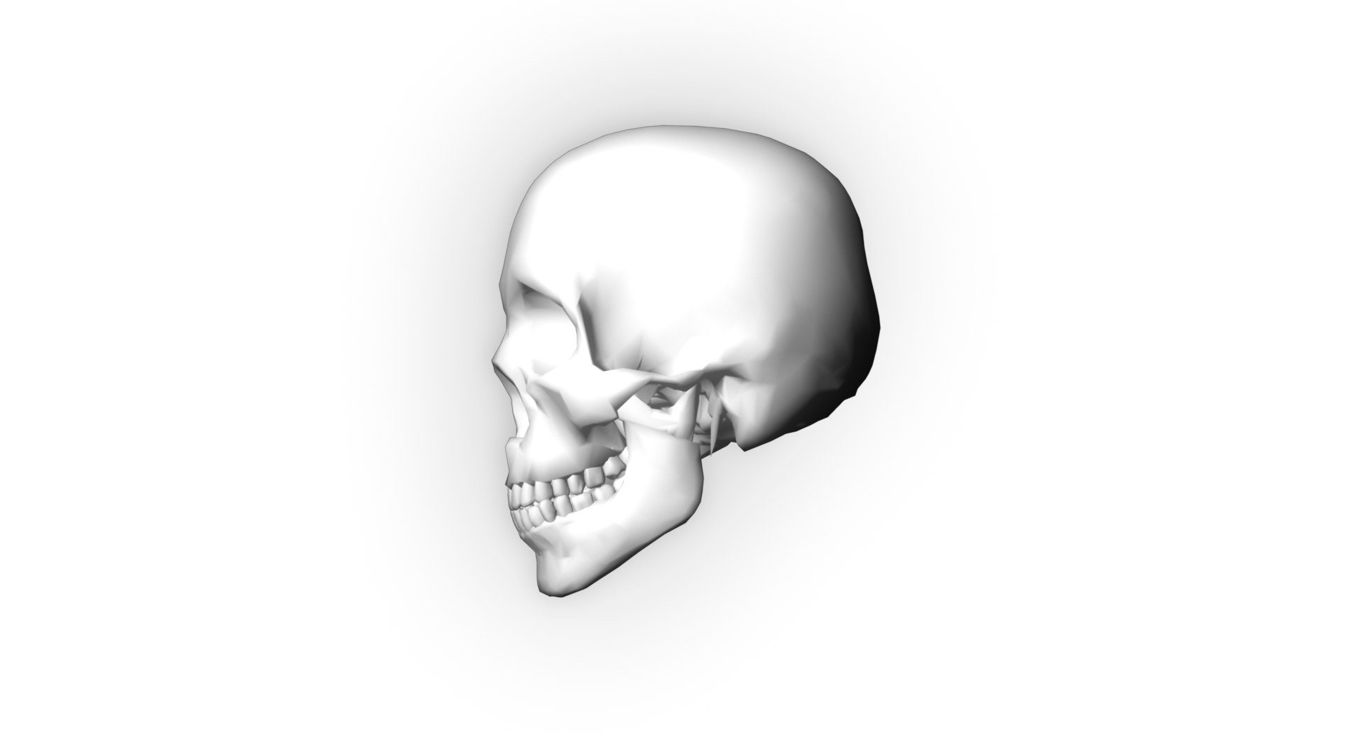 Glowing Human Skull 3d Model