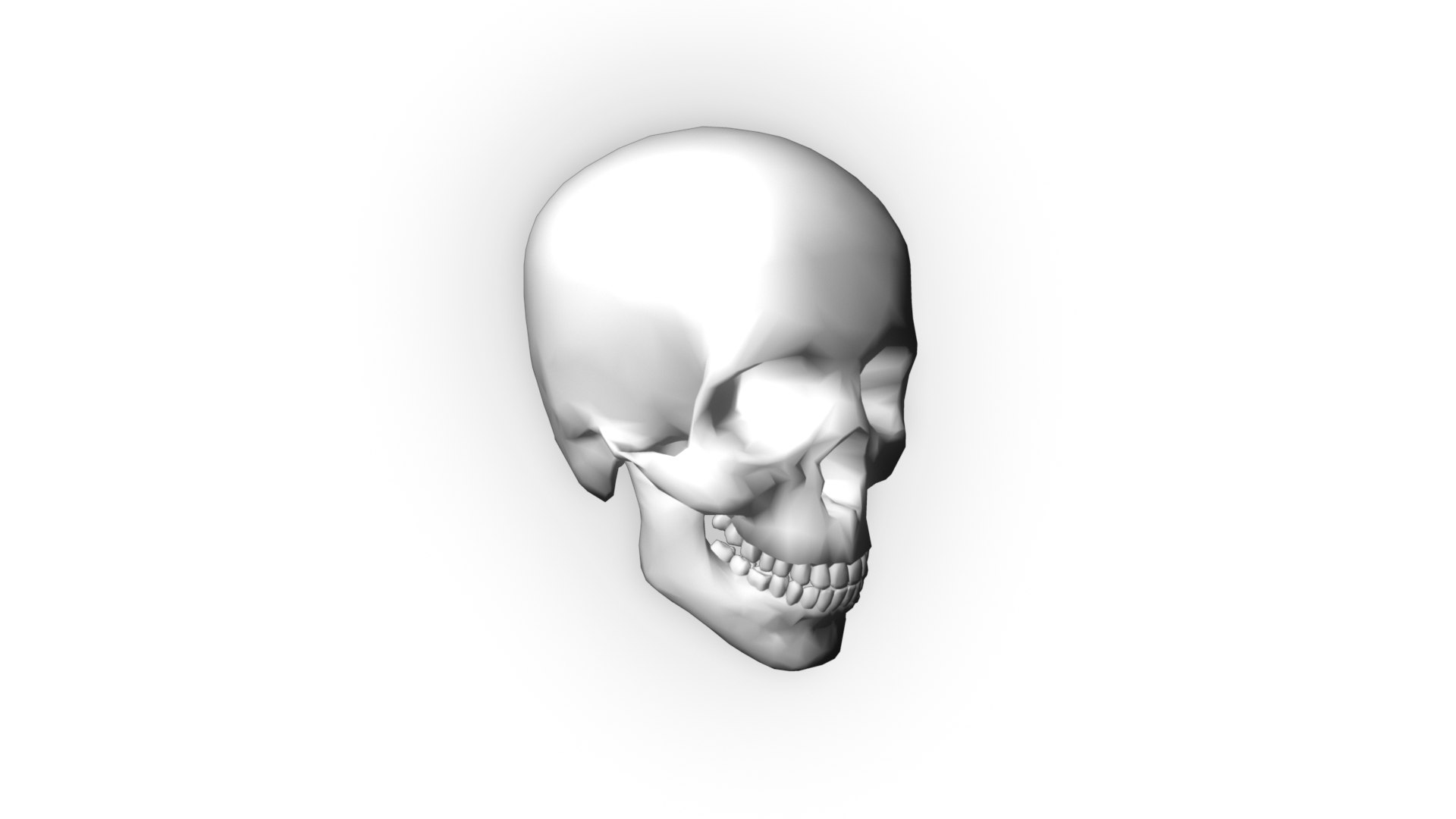 Glowing Human Skull 3d Model