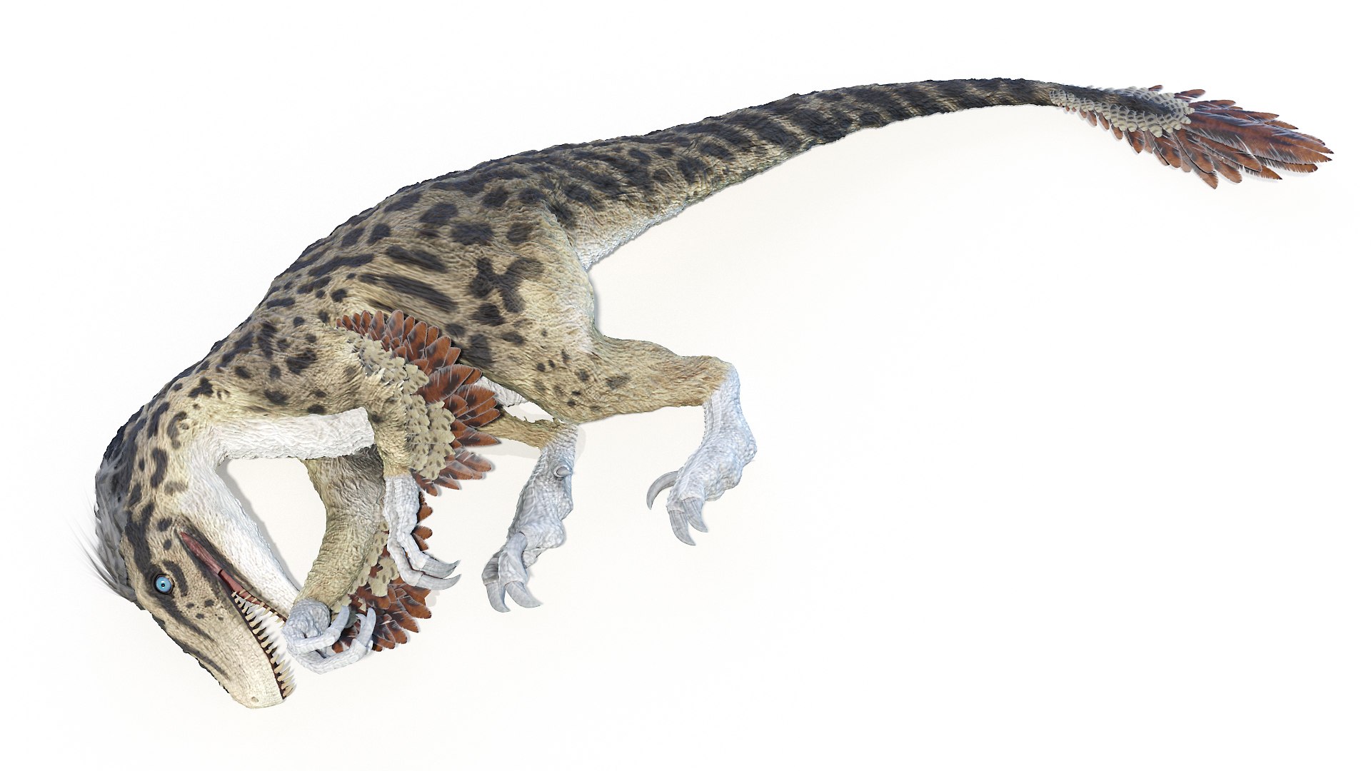 Utahraptor Animated 3D Model - TurboSquid 1722540