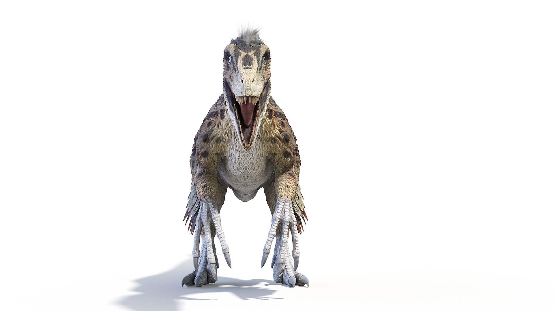Utahraptor Animated 3D Model - TurboSquid 1722540