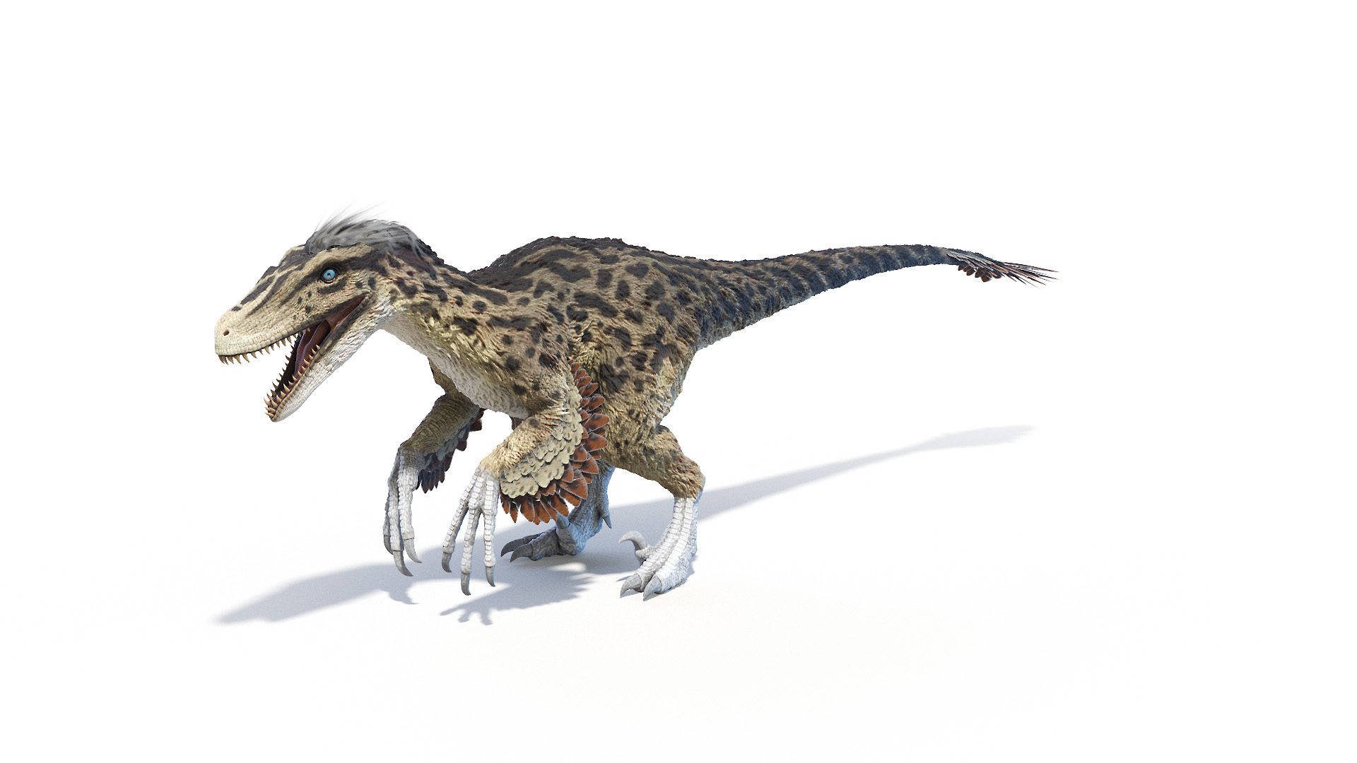 Utahraptor Animated 3D Model - TurboSquid 1722540