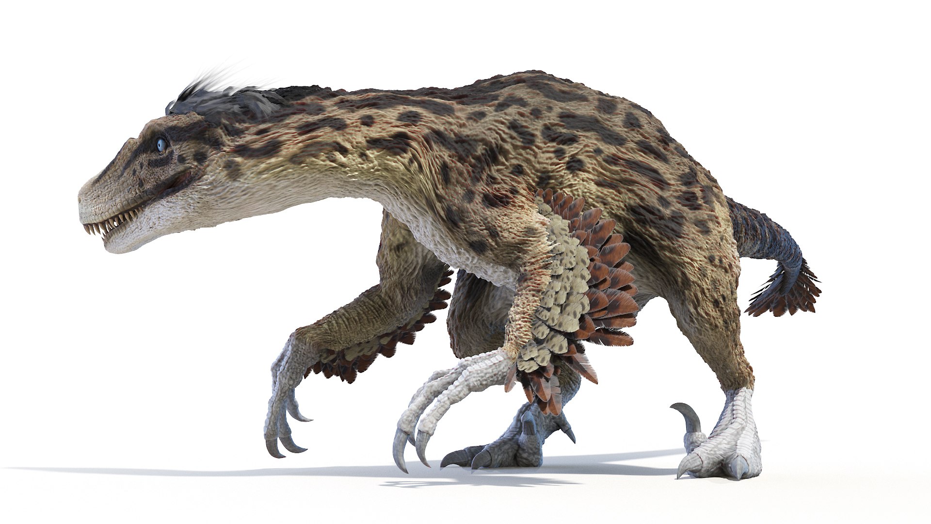 Utahraptor Animated 3D Model - TurboSquid 1722540