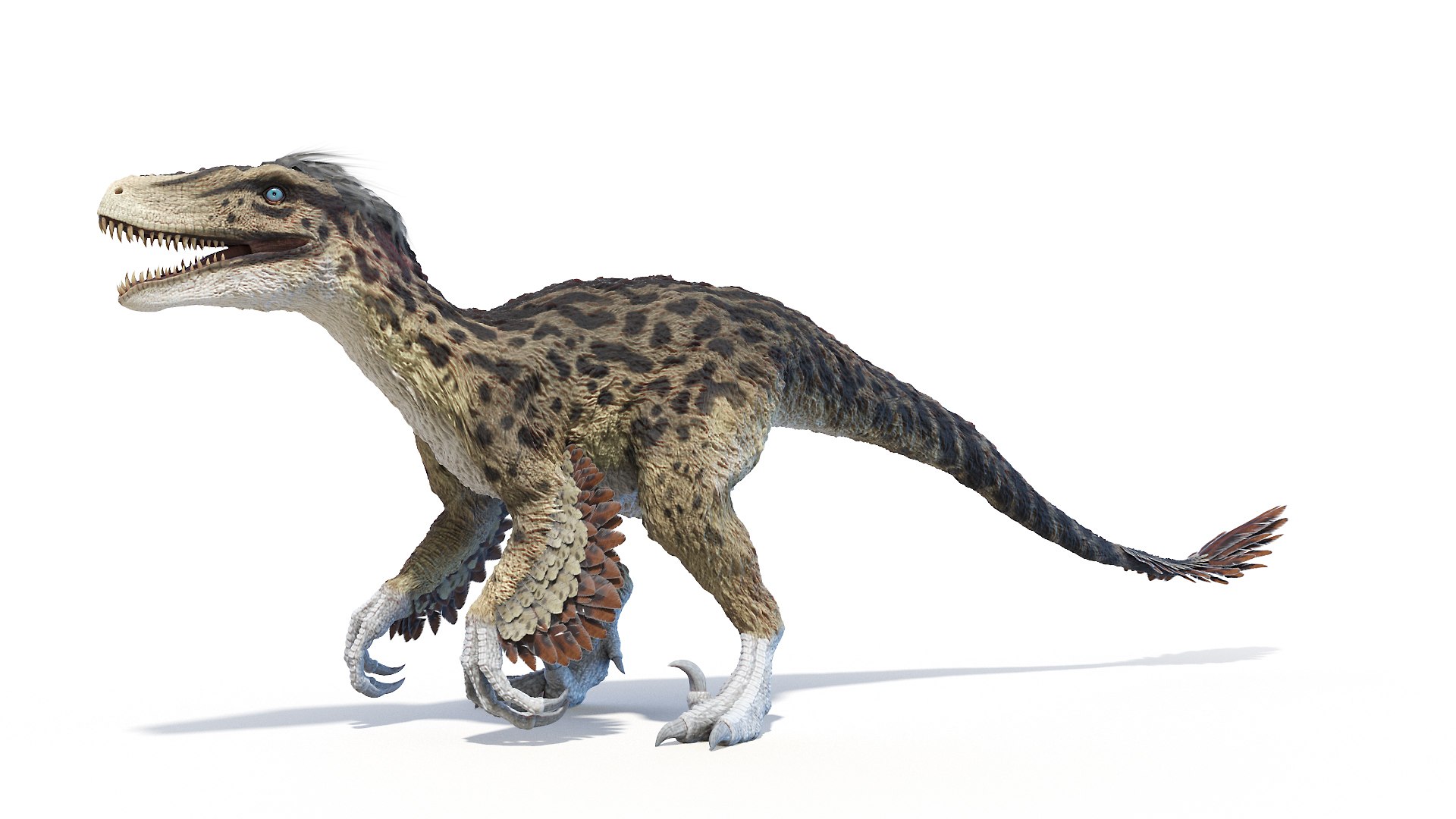 Utahraptor Animated 3D Model - TurboSquid 1722540