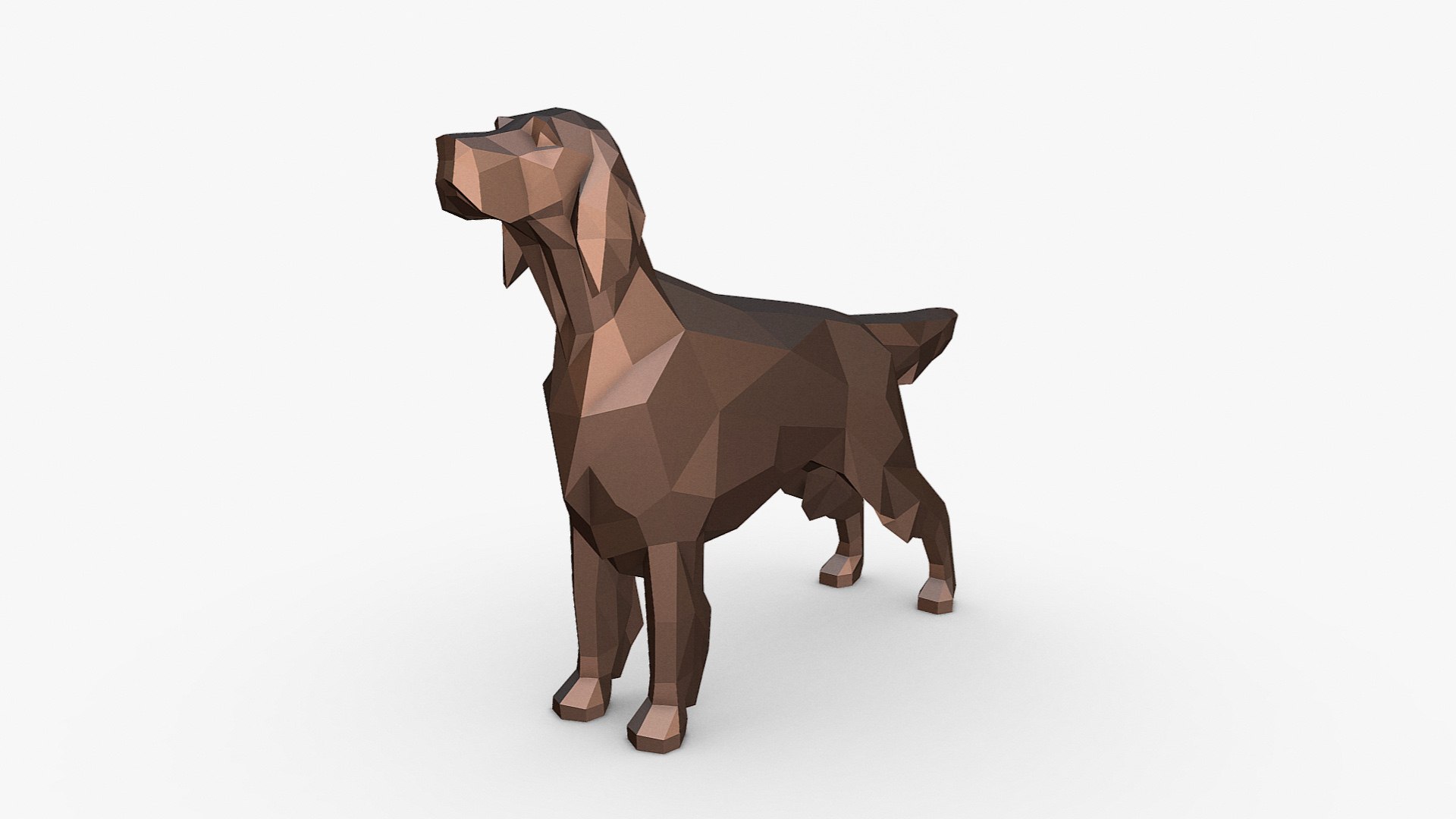 English Setter 3D - TurboSquid 1850414