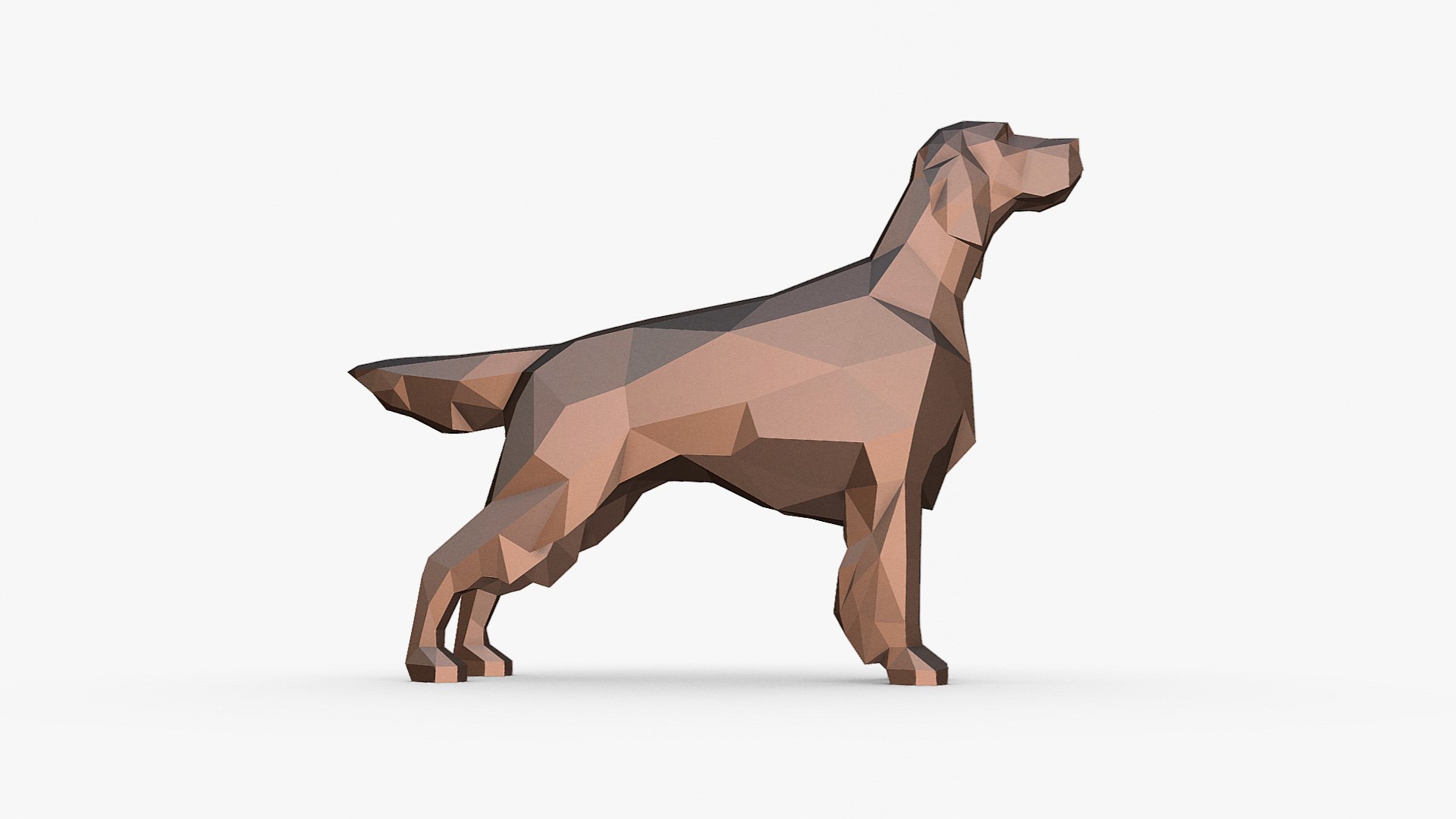 English Setter 3D - TurboSquid 1850414