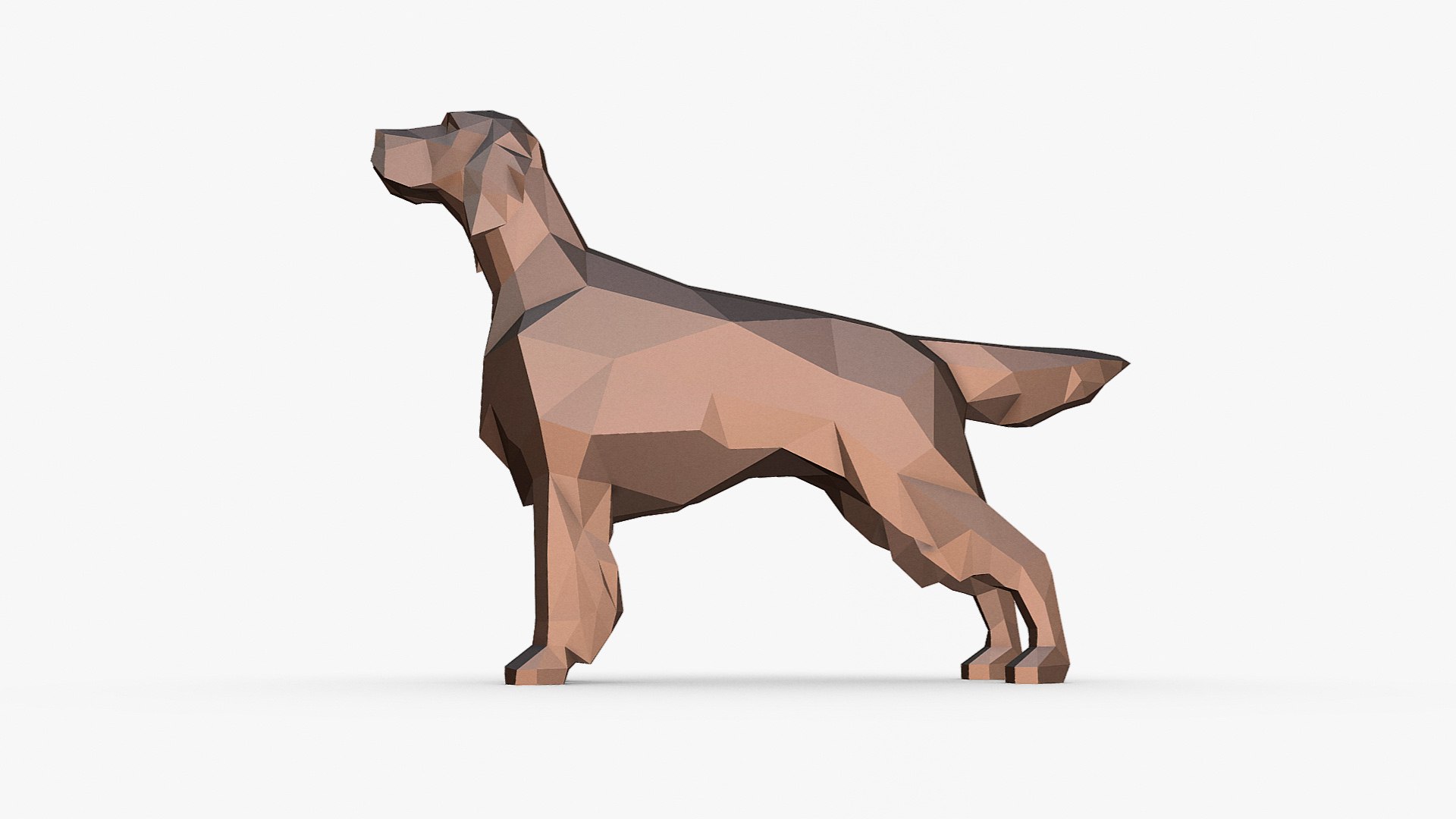 English Setter 3D - TurboSquid 1850414