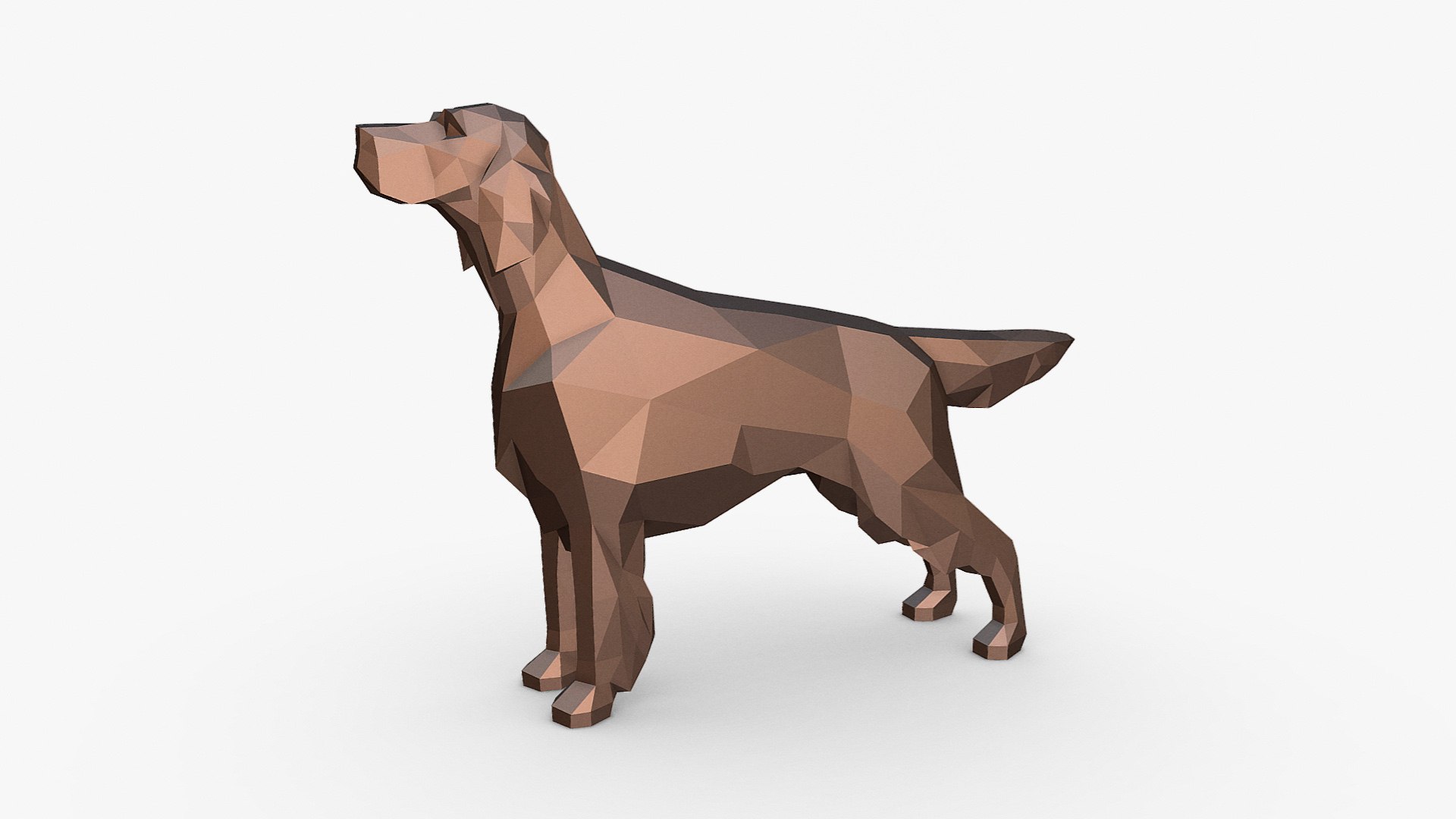 English Setter 3D - TurboSquid 1850414