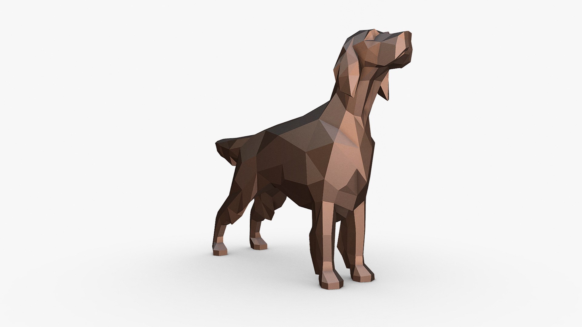 English Setter 3D - TurboSquid 1850414