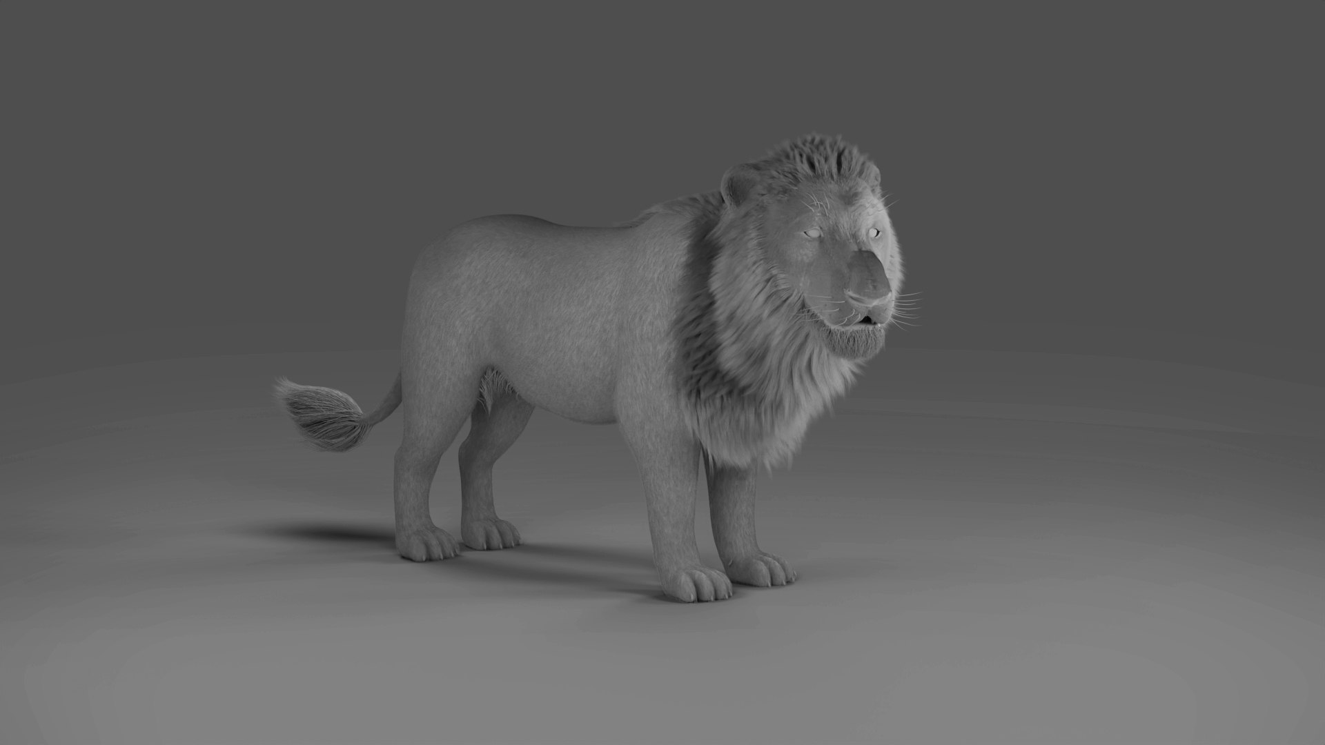 Fur Lion NO Rigged In Blender Model - TurboSquid 2025591