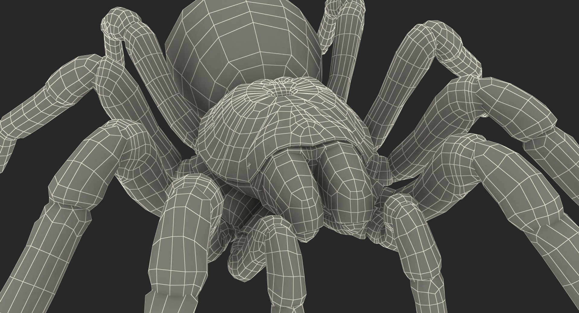 3D Goliath Birdeater Model - TurboSquid 1258128