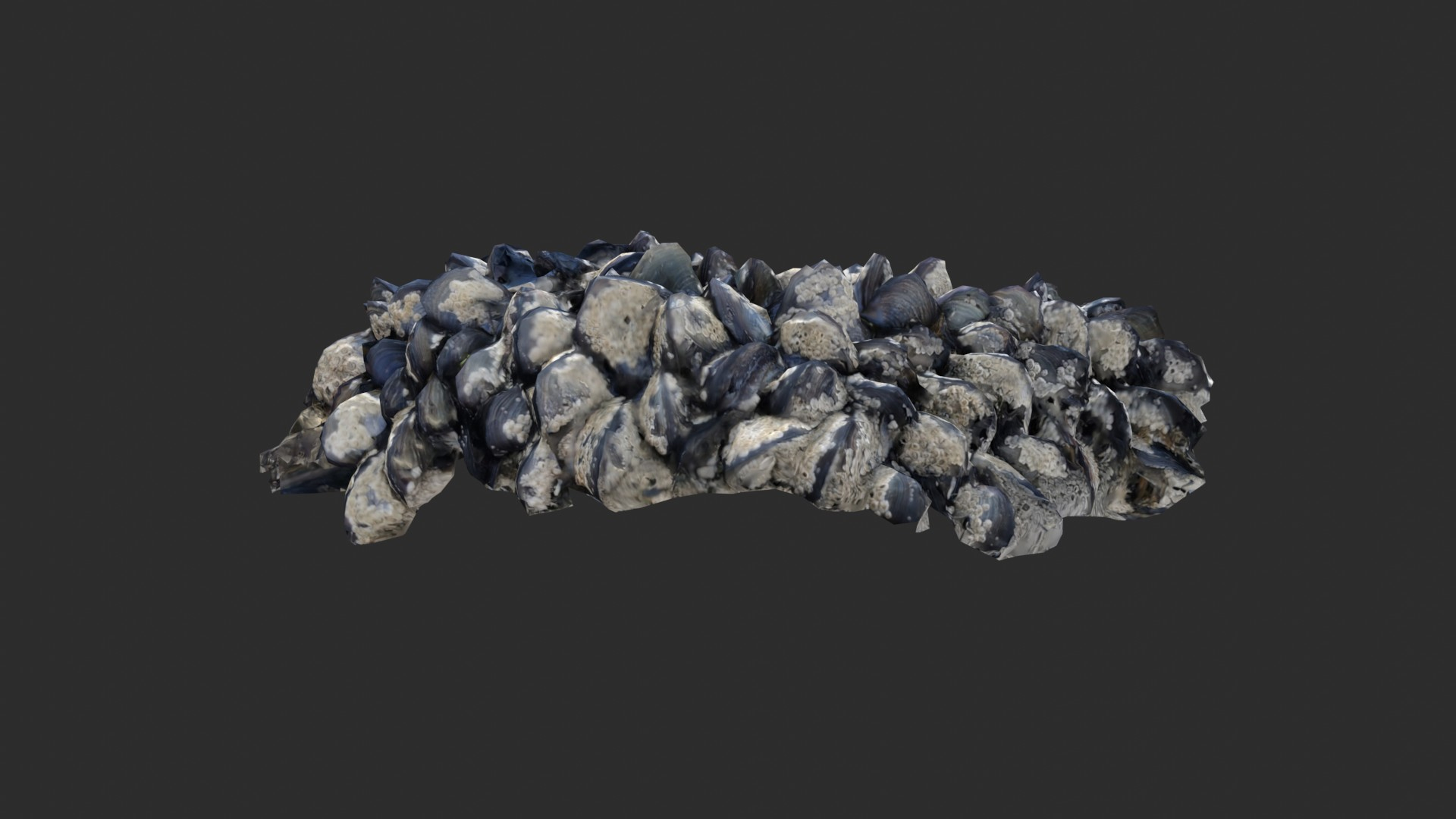 Mussels 2 3D model - TurboSquid 1786409
