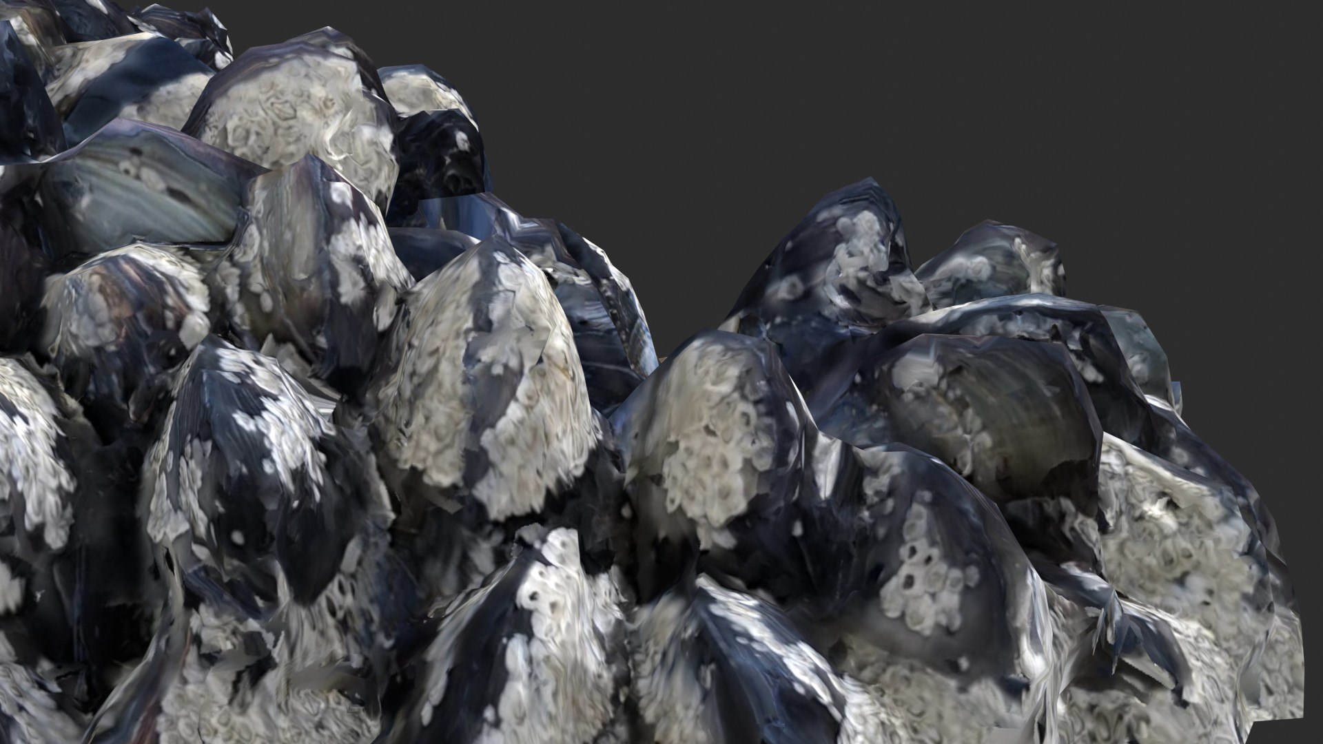 Mussels 2 3D model - TurboSquid 1786409