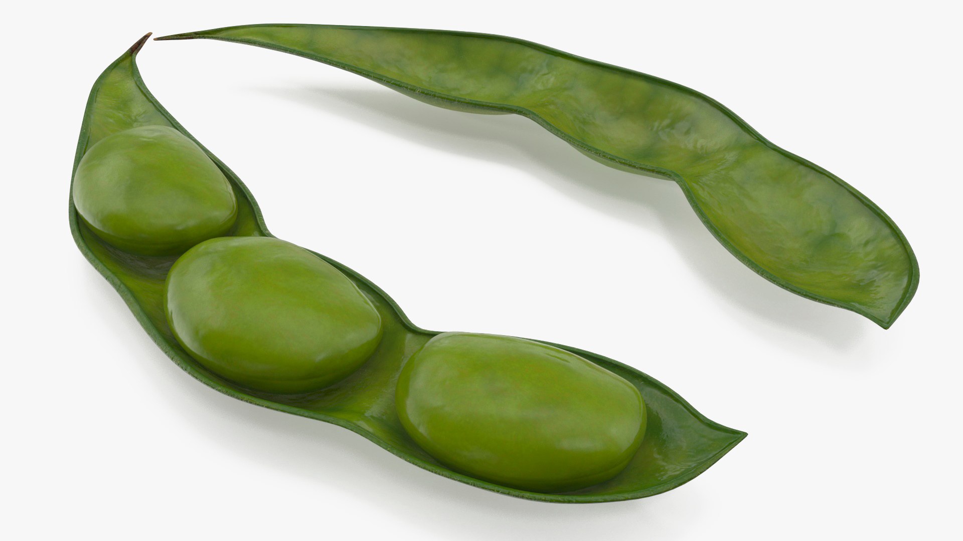 Green Soybean Pod Open 3D - TurboSquid 2148469