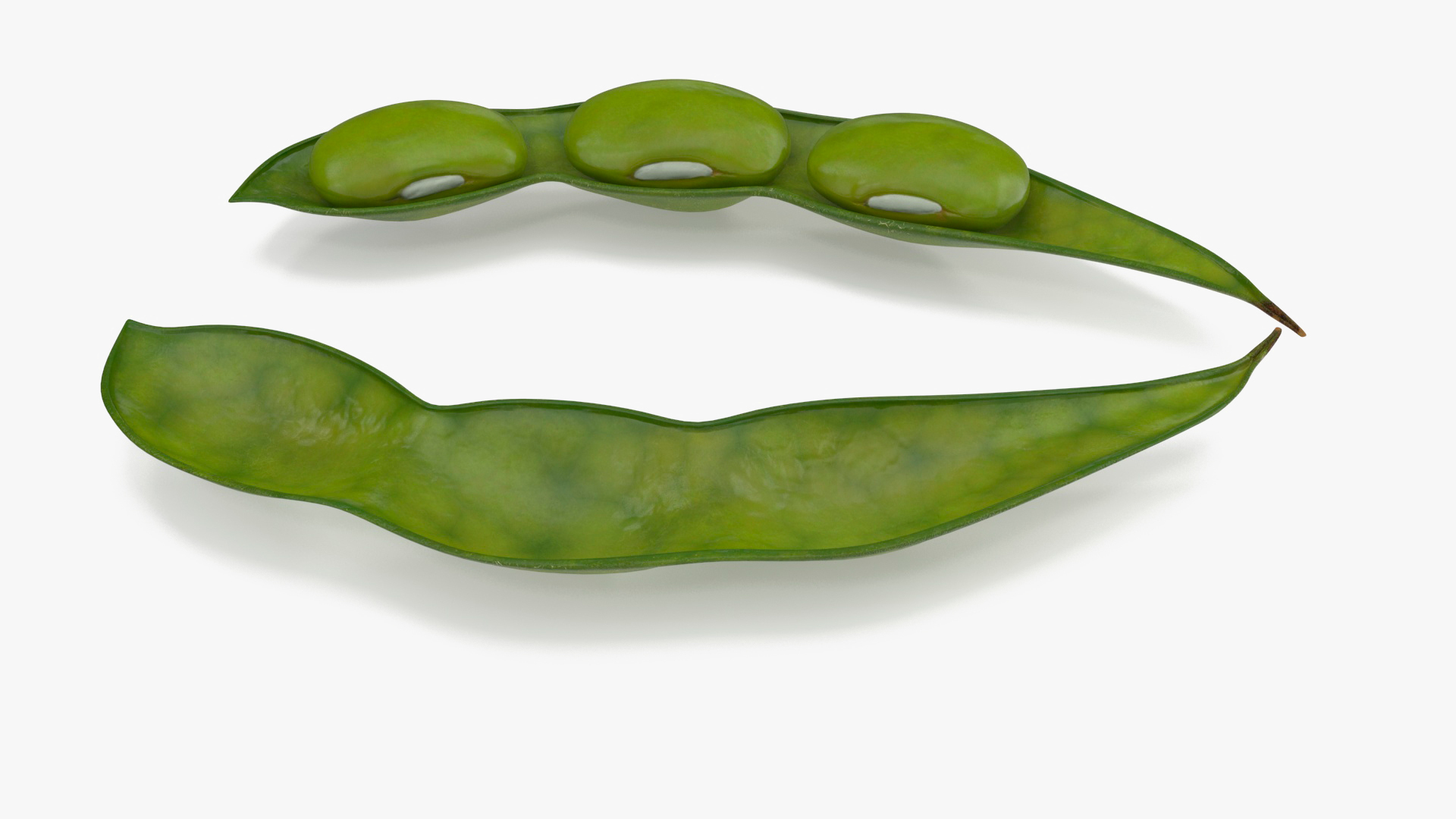 Green Soybean Pod Open 3D - TurboSquid 2148469