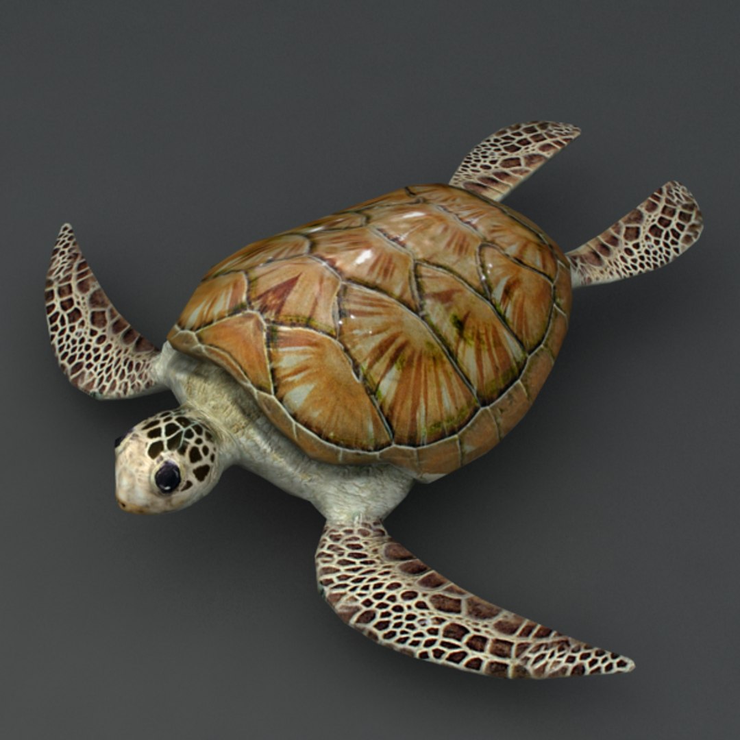 Swim Animation Obj