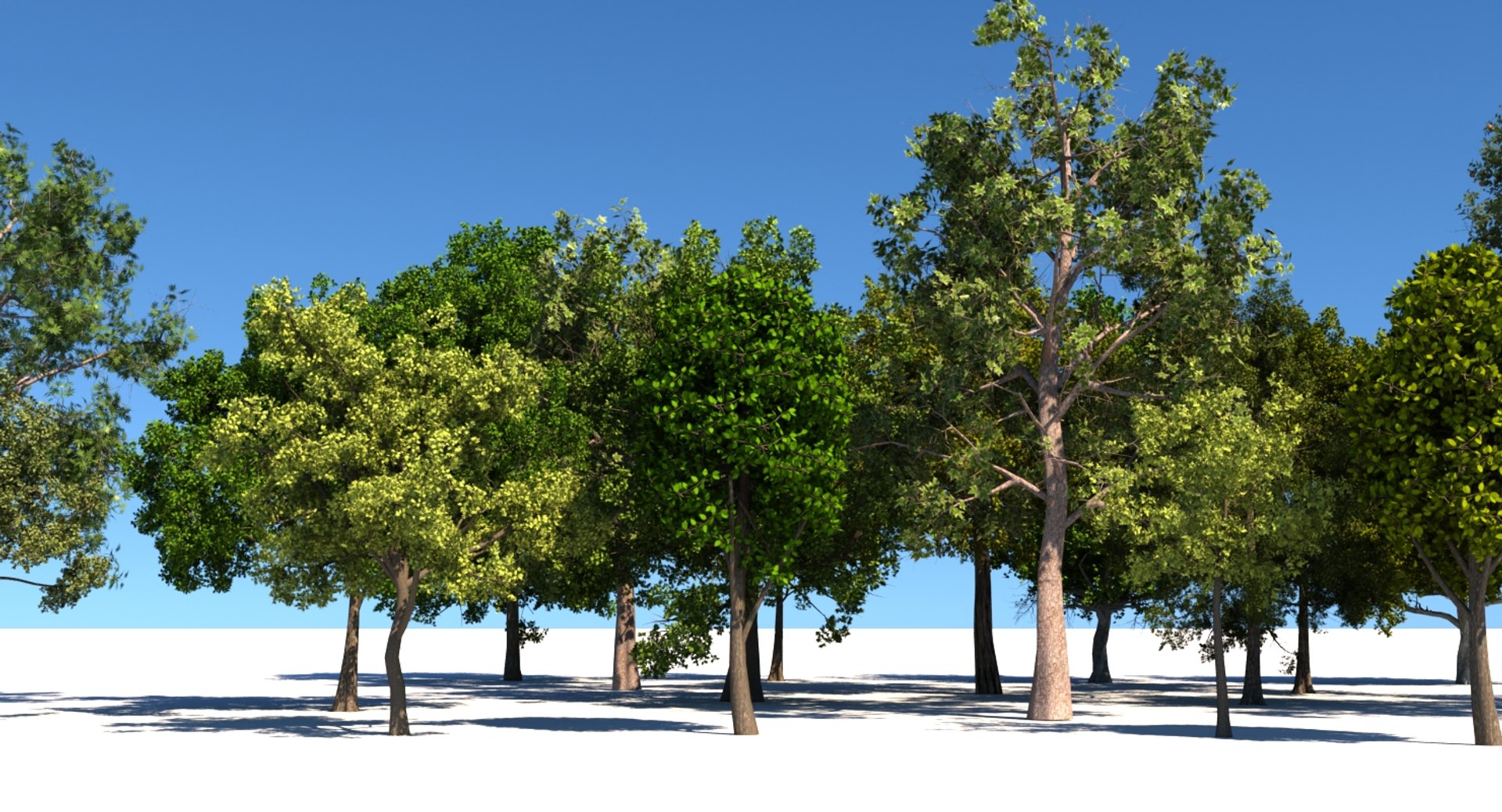 Tree Nature 3D Model - TurboSquid 1379382