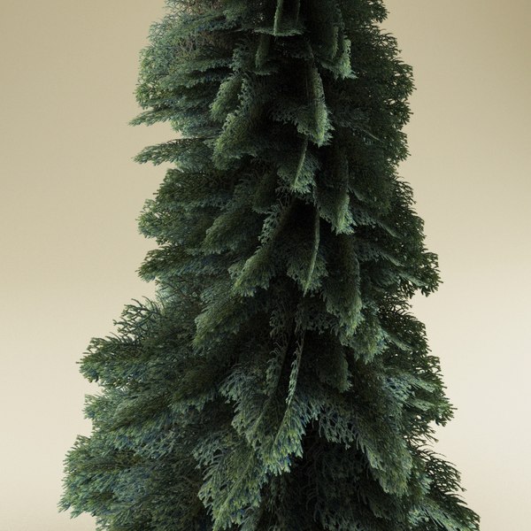 3d fir tree model