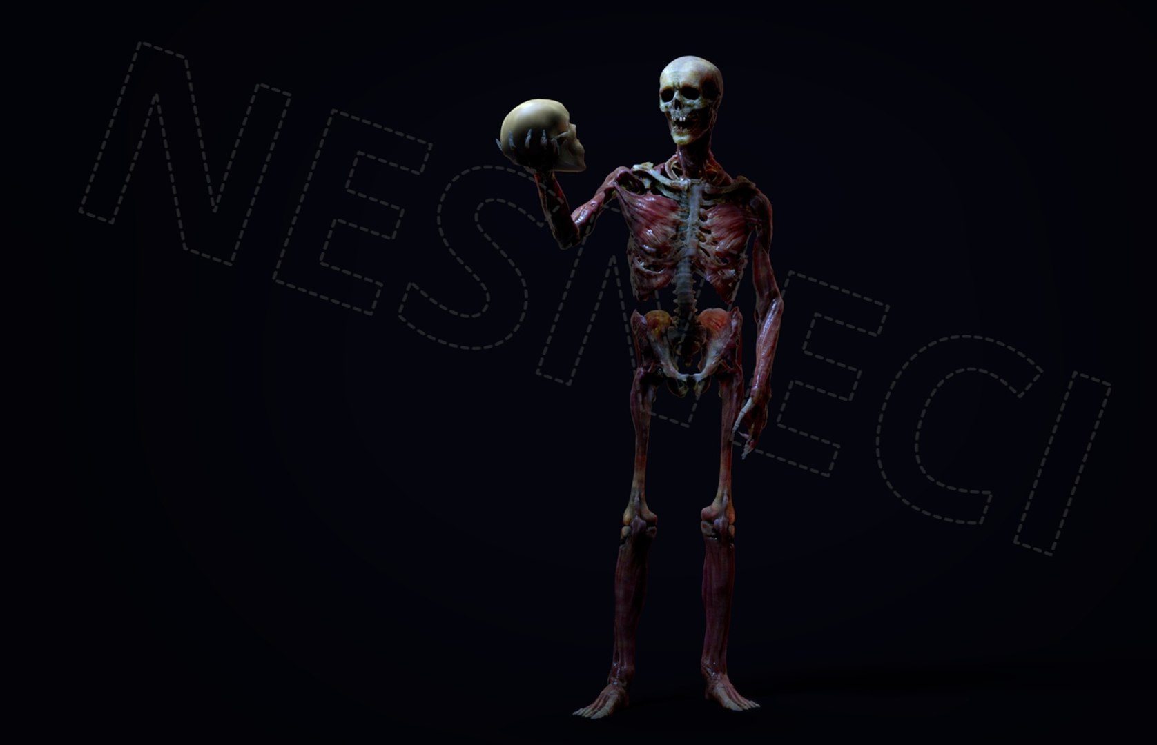 Zombie Skeleton 4k Rig 3D - TurboSquid 1249002