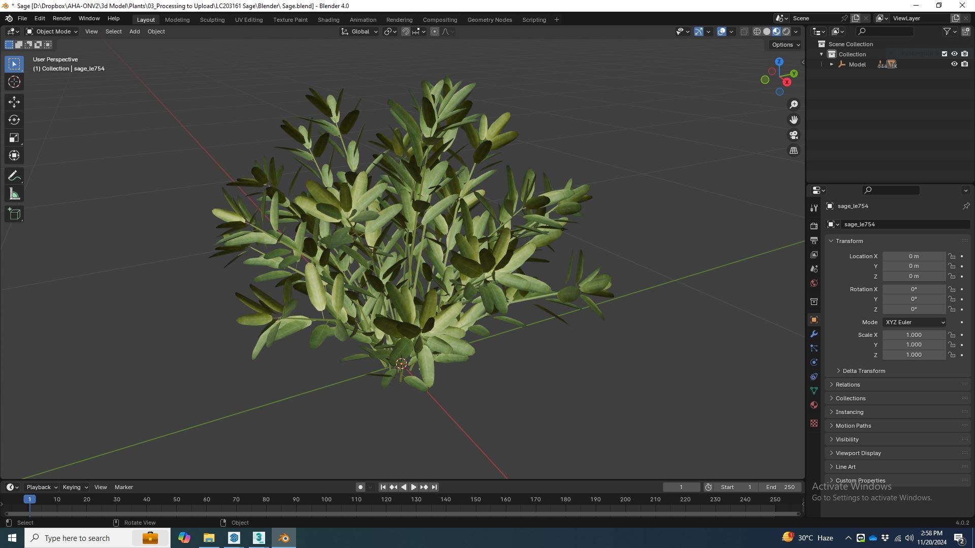 Sage 3D Model - TurboSquid 2316855
