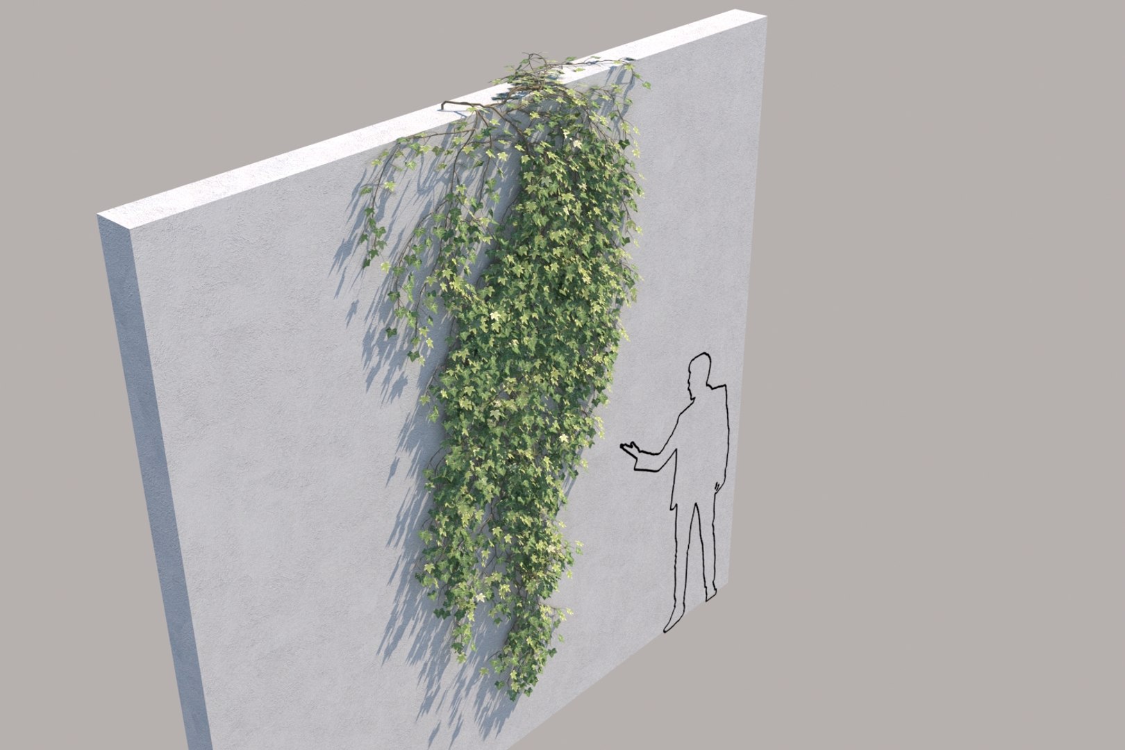 Ivy - wall model - TurboSquid 1408231