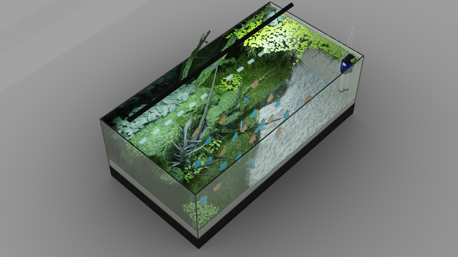 Aquarium 3D model - TurboSquid 1825599