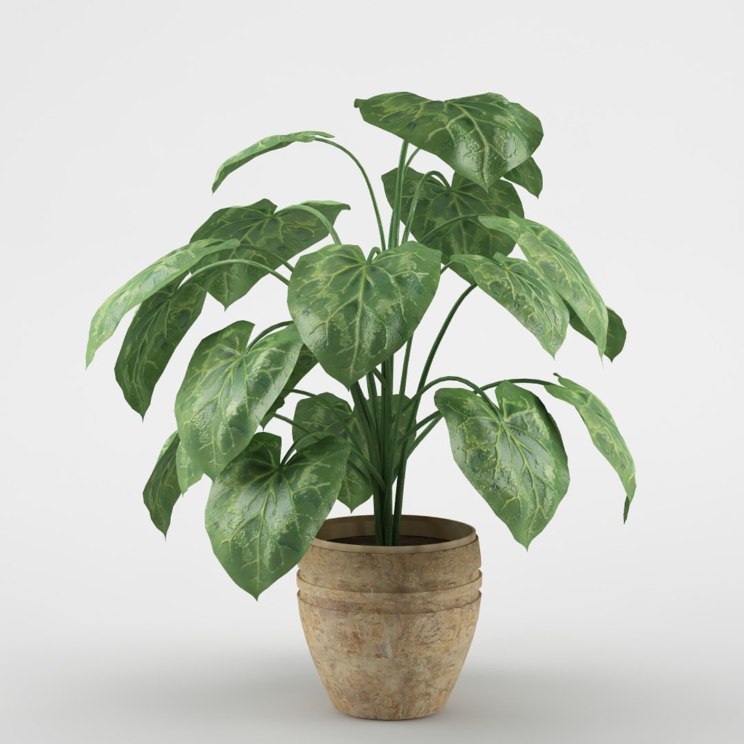3dsmax Plant Flowerpot Max8