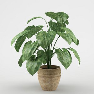 plant garden 3ds