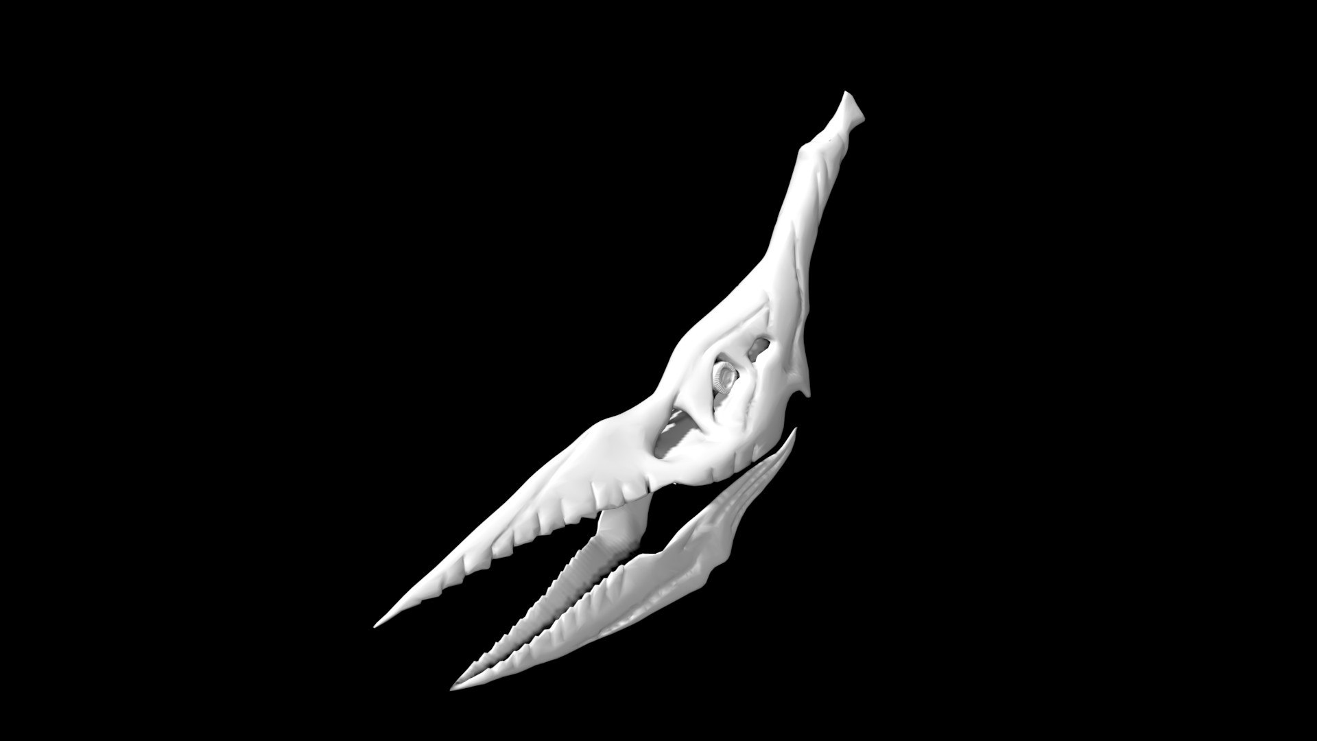 Pterasaur Skull 3D Model - TurboSquid 1885799