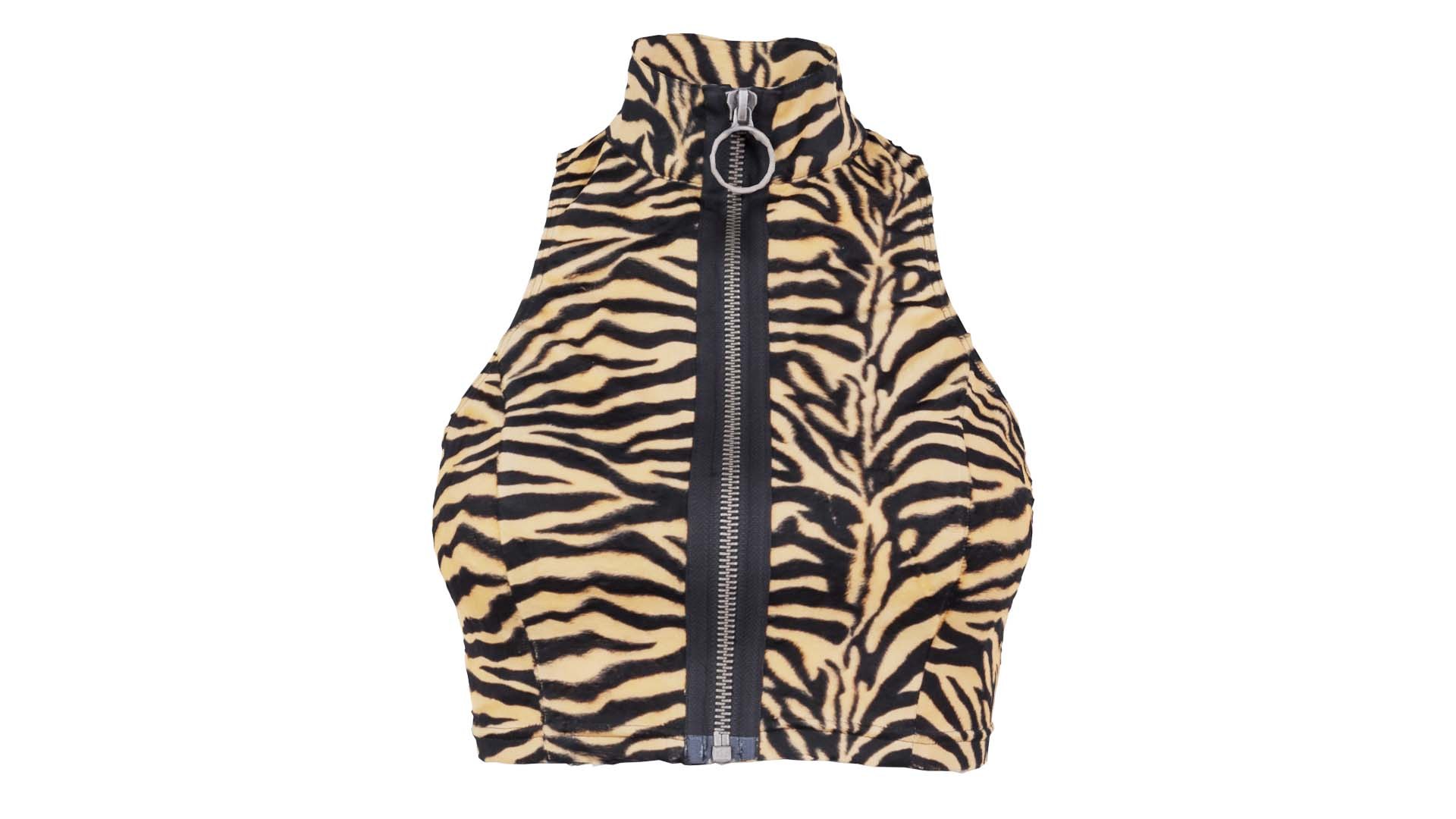 3D Tiger Top Remastered - TurboSquid 2361805