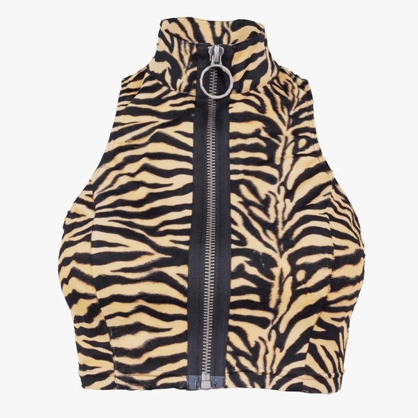 modelo 3d El tigre superior remasterizado - TurboSquid 2361805