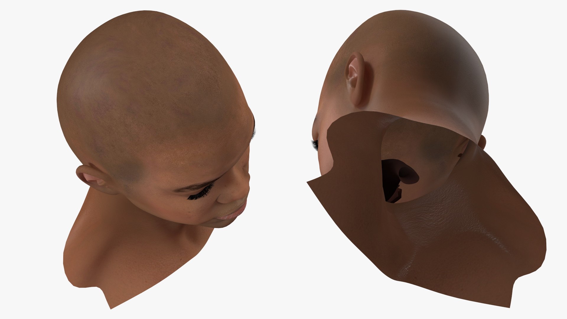 3D Light Skin Teenager Head Model - TurboSquid 1740299