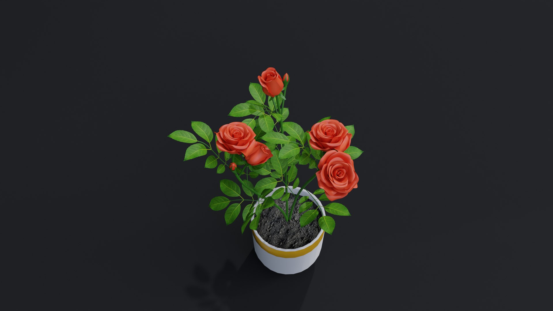 Small Rose Plant Model - TurboSquid 2072342