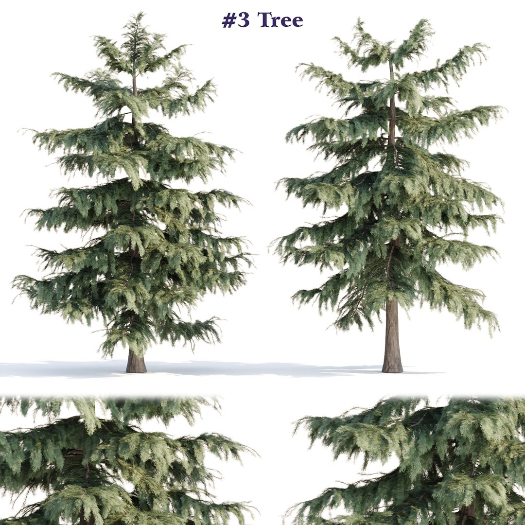 Pine Trees Collection Vol 107 Model - TurboSquid 1974699