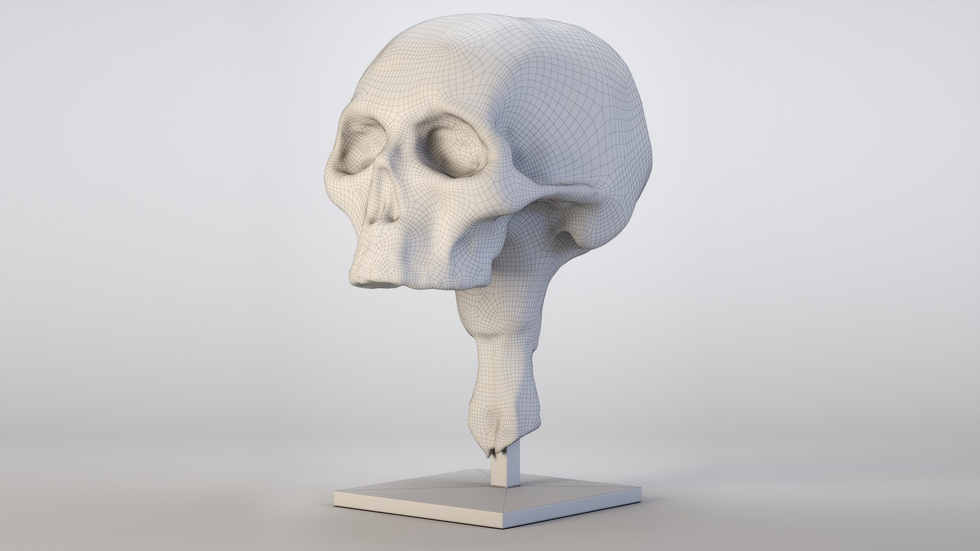 3D Mummy Skull - TurboSquid 2069808