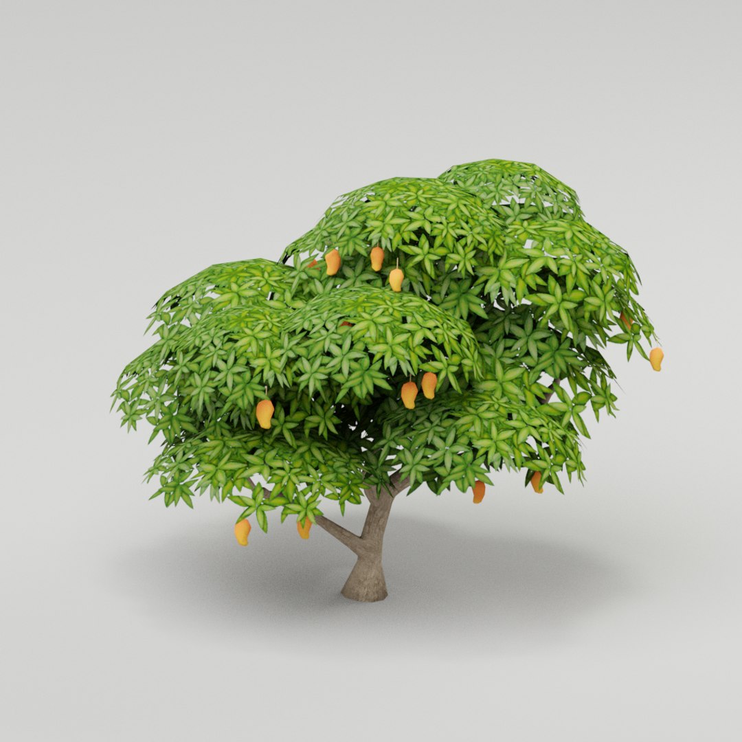 3D Mango Tree Model - TurboSquid 1422760
