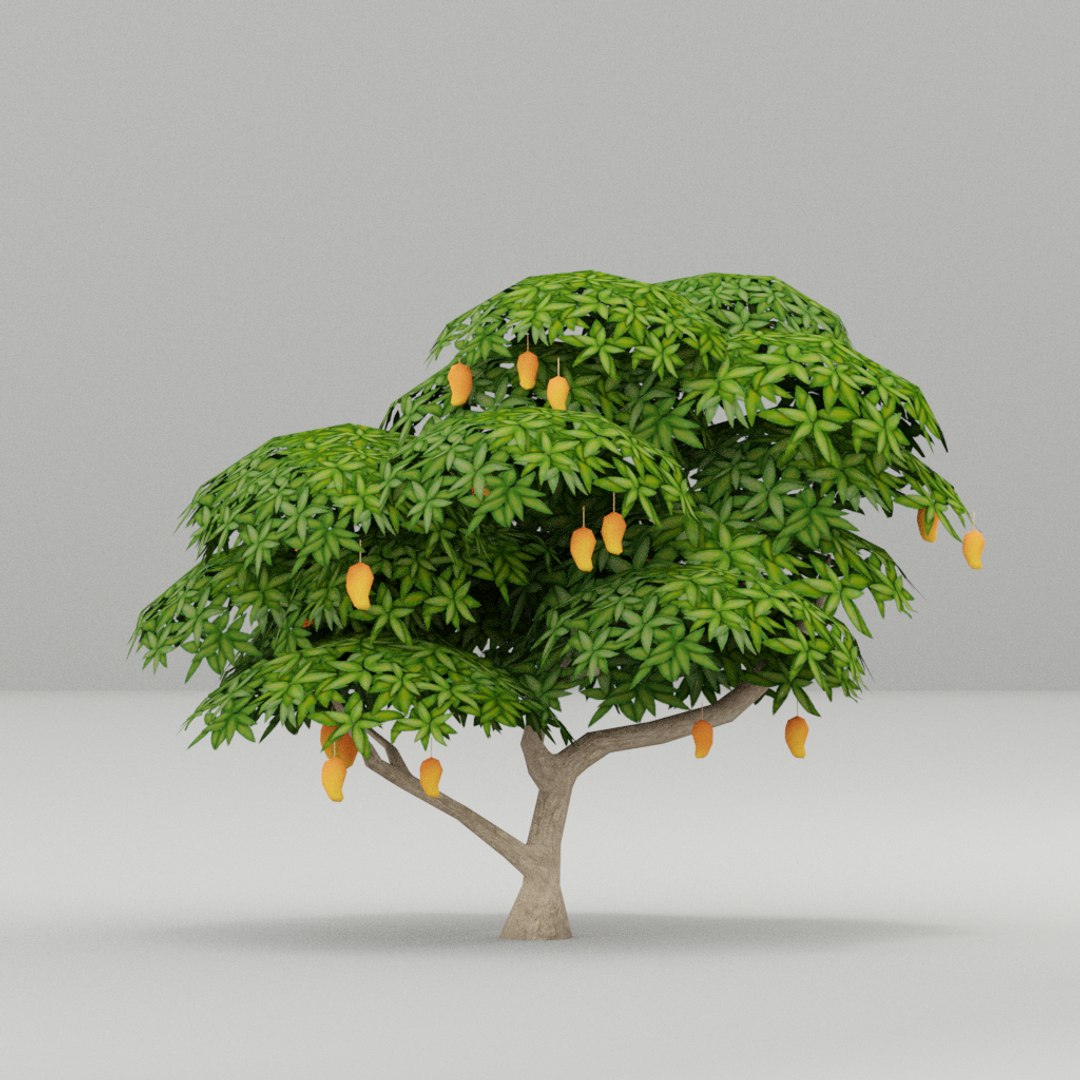 3D Mango Tree Model - TurboSquid 1422760