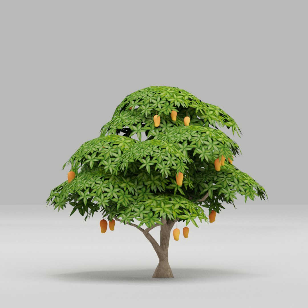 3D Mango Tree Model - TurboSquid 1422760